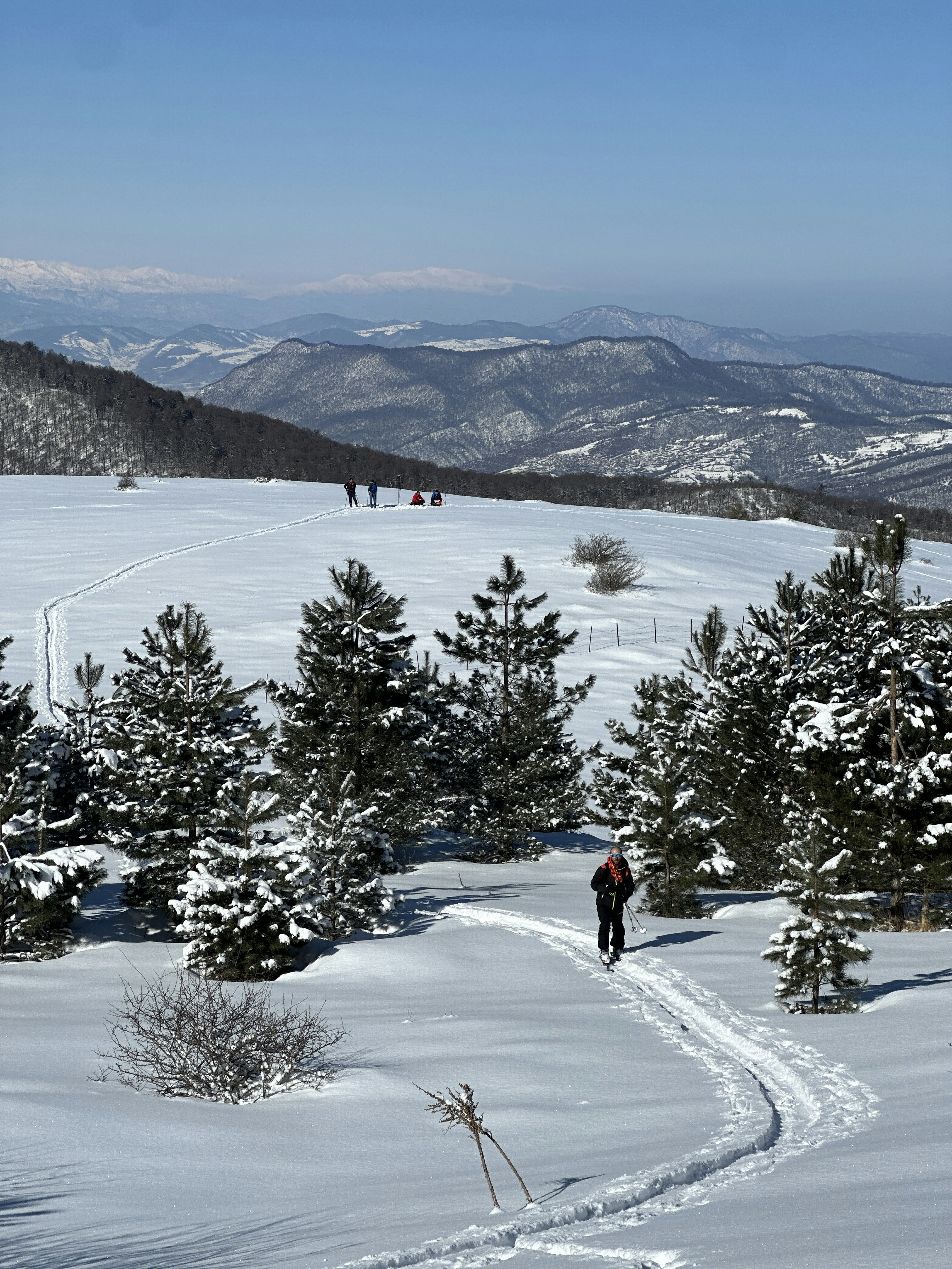 Snowbound Ridge: A Lone Hiker Trails the Winter Crest