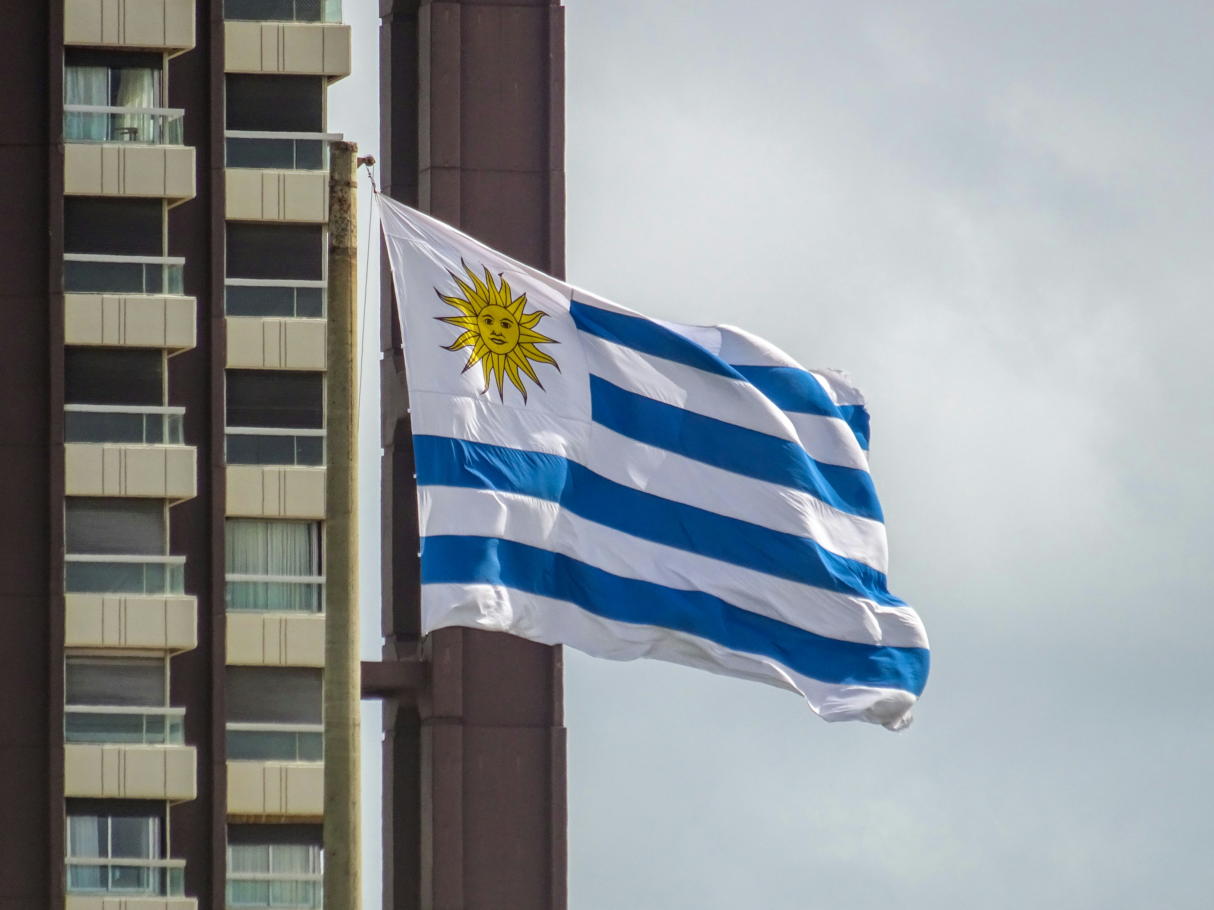 Photo by Nikolai Kolosov with Sony Cyber-shot WX350