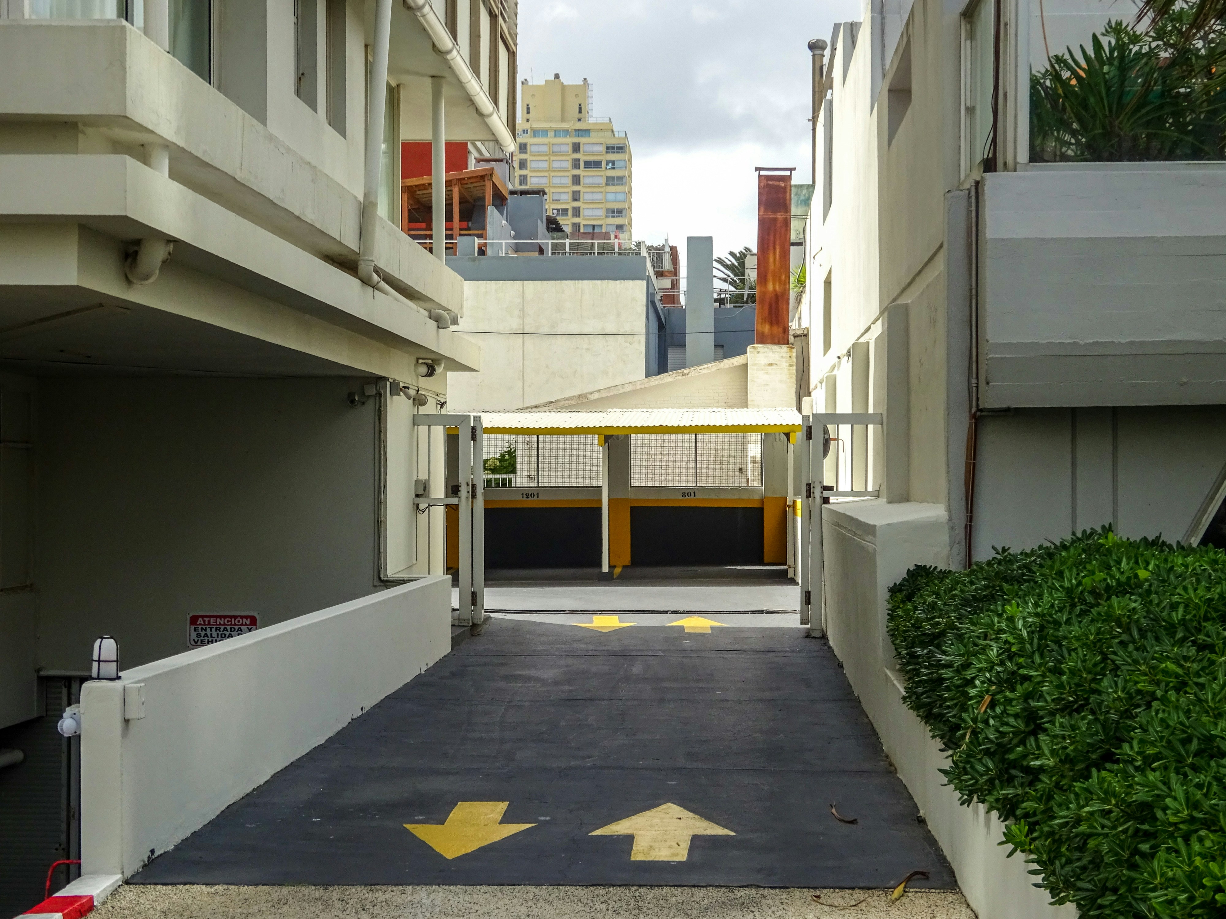 Photo by Nikolai Kolosov with Sony Cyber-shot WX350