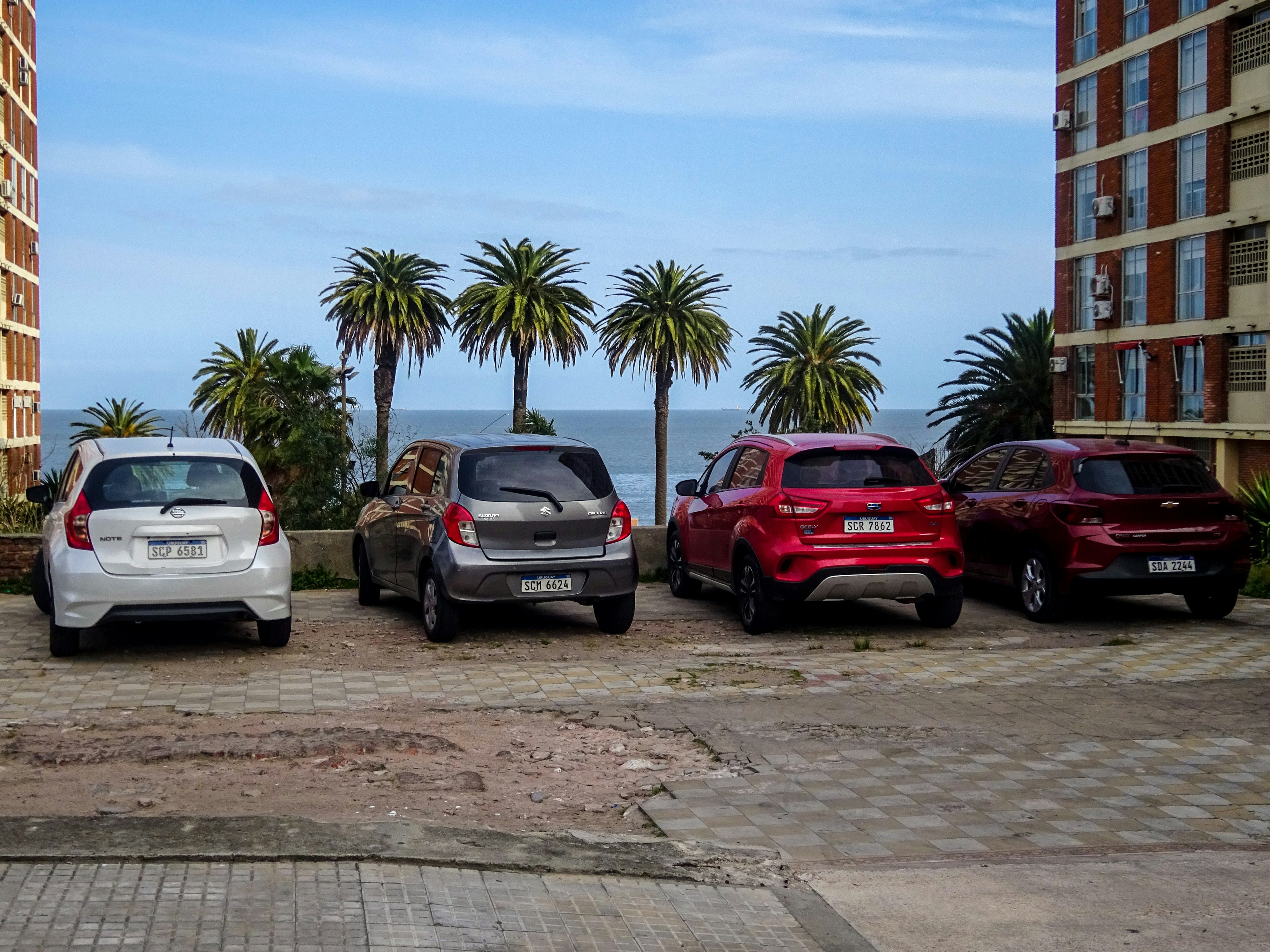 Cars parked with ocean and palm trees behind.