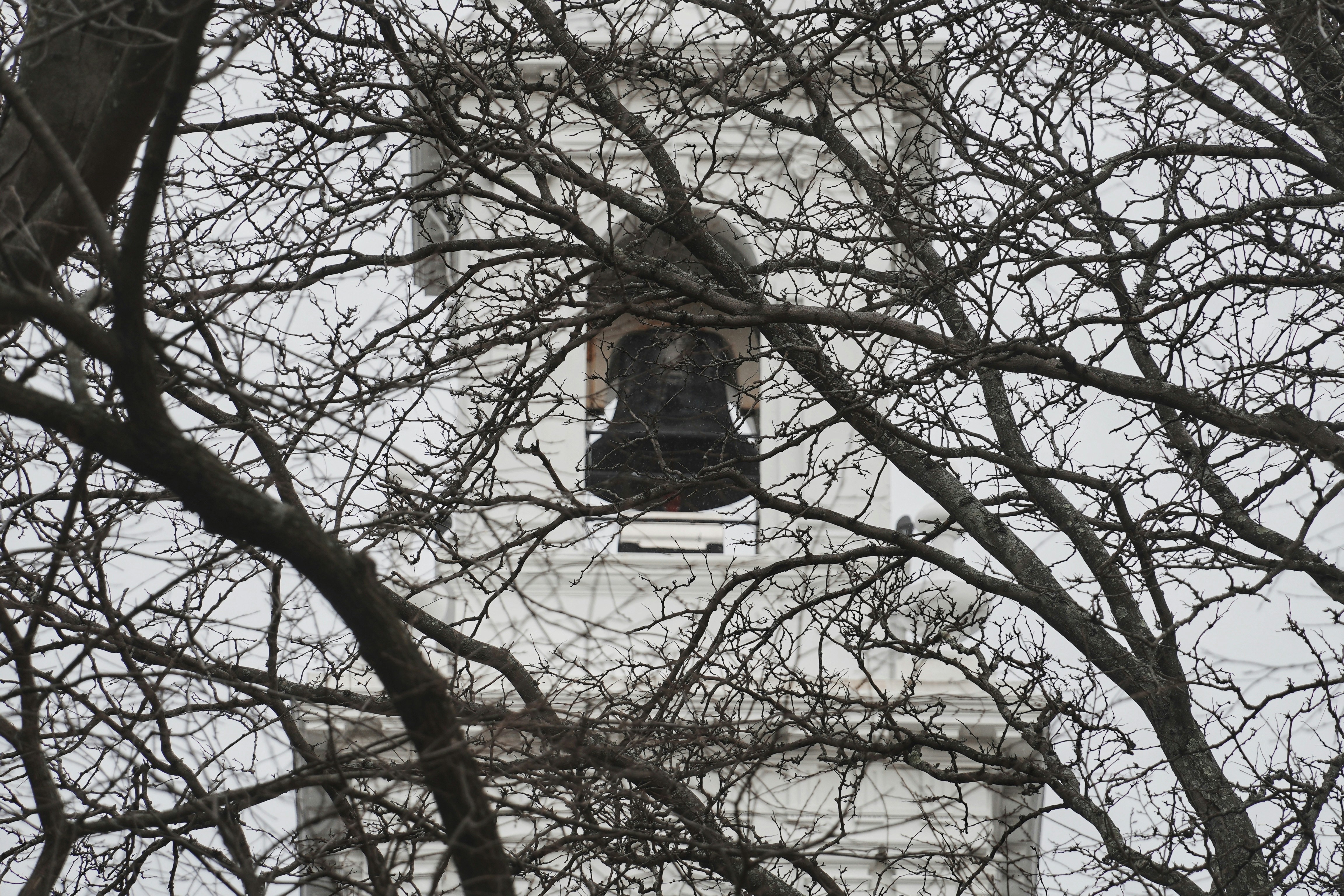 Hidden Bell Tower: A Gloomy Reveal Through Winter BranchesXimin Lin
