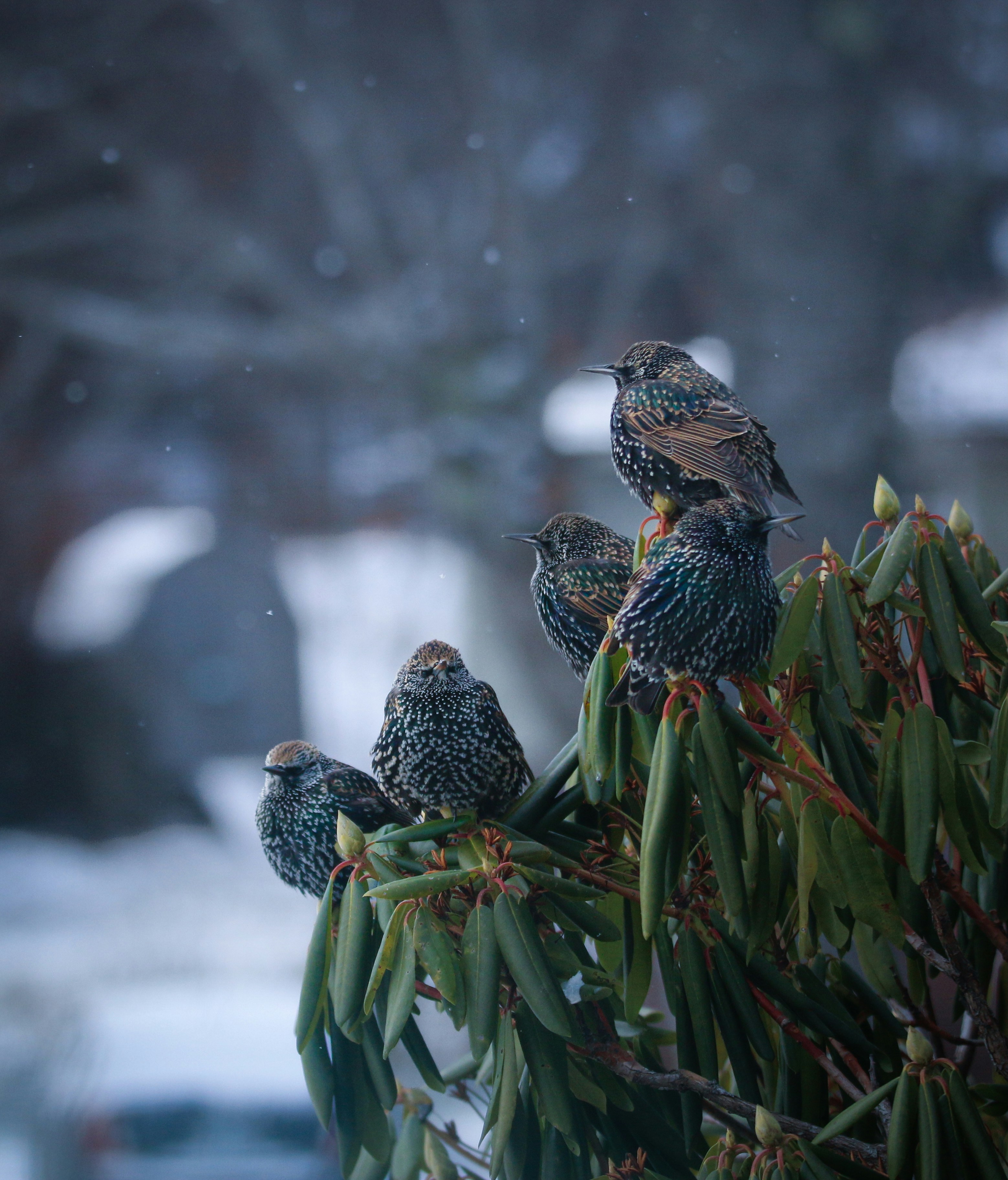 Photo by Dariia Lemesheva with Canon EOS 70D