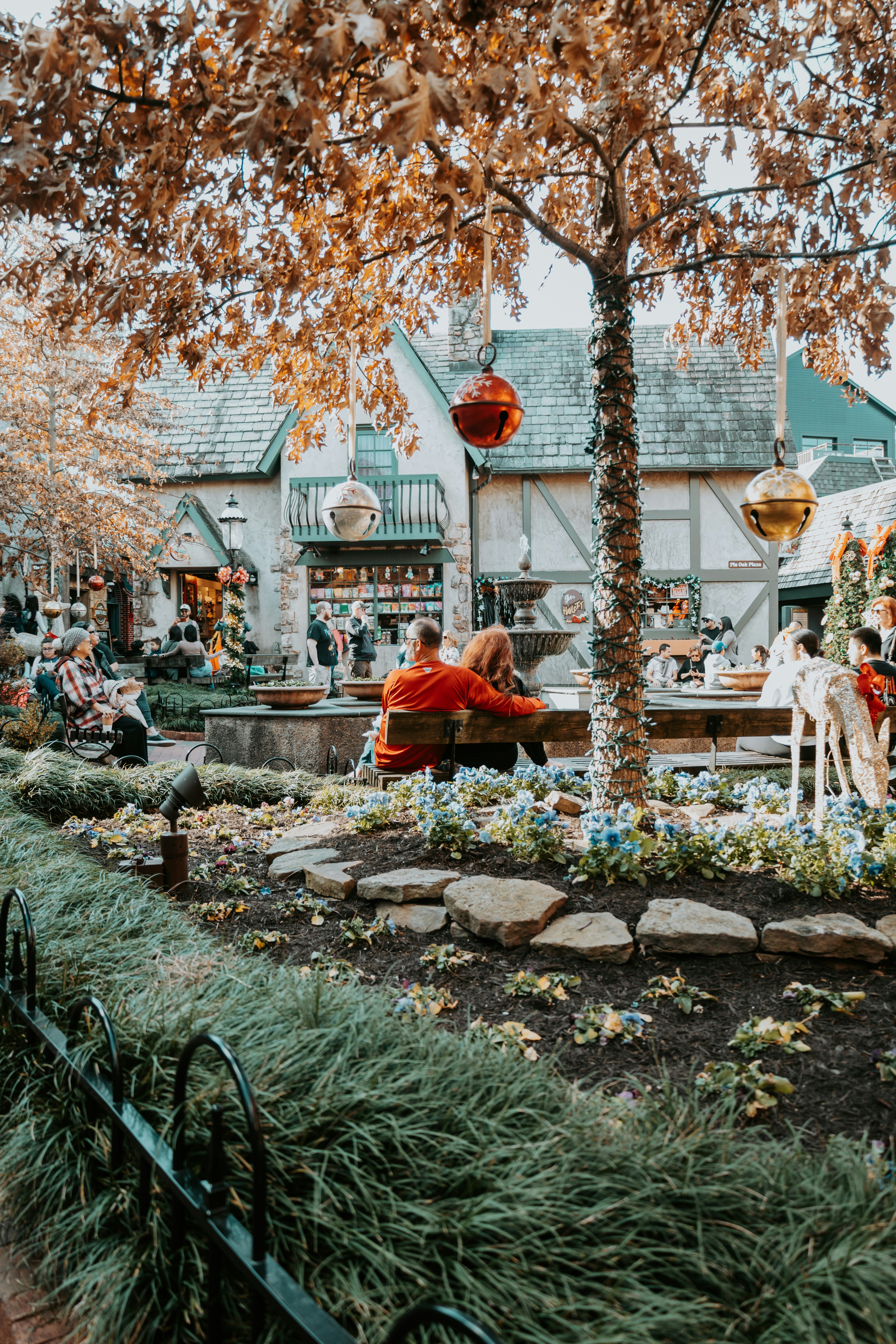 Autumn Courtyard Serenade