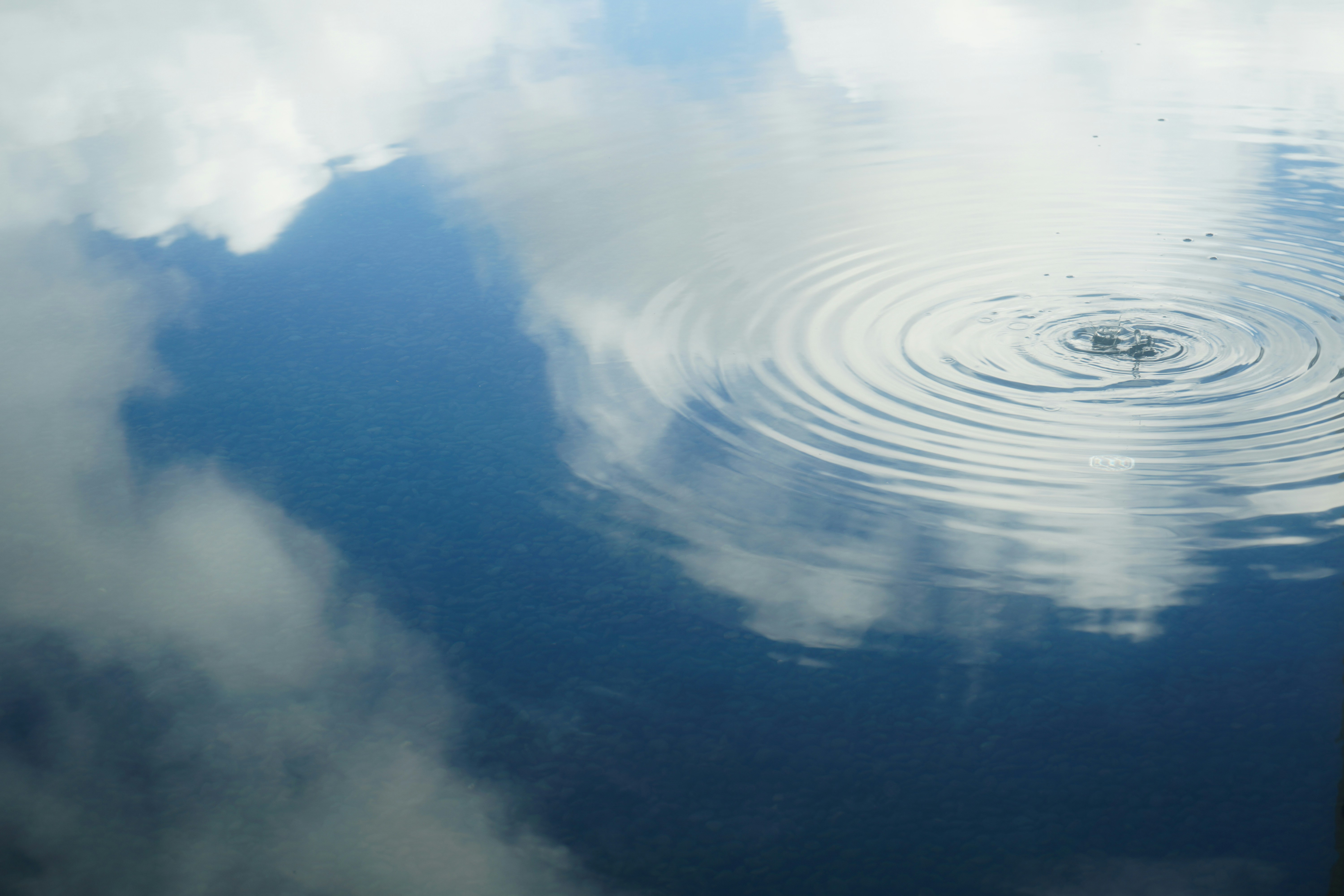 Silent Ripples: A Ring of Calm on Clouded Waters