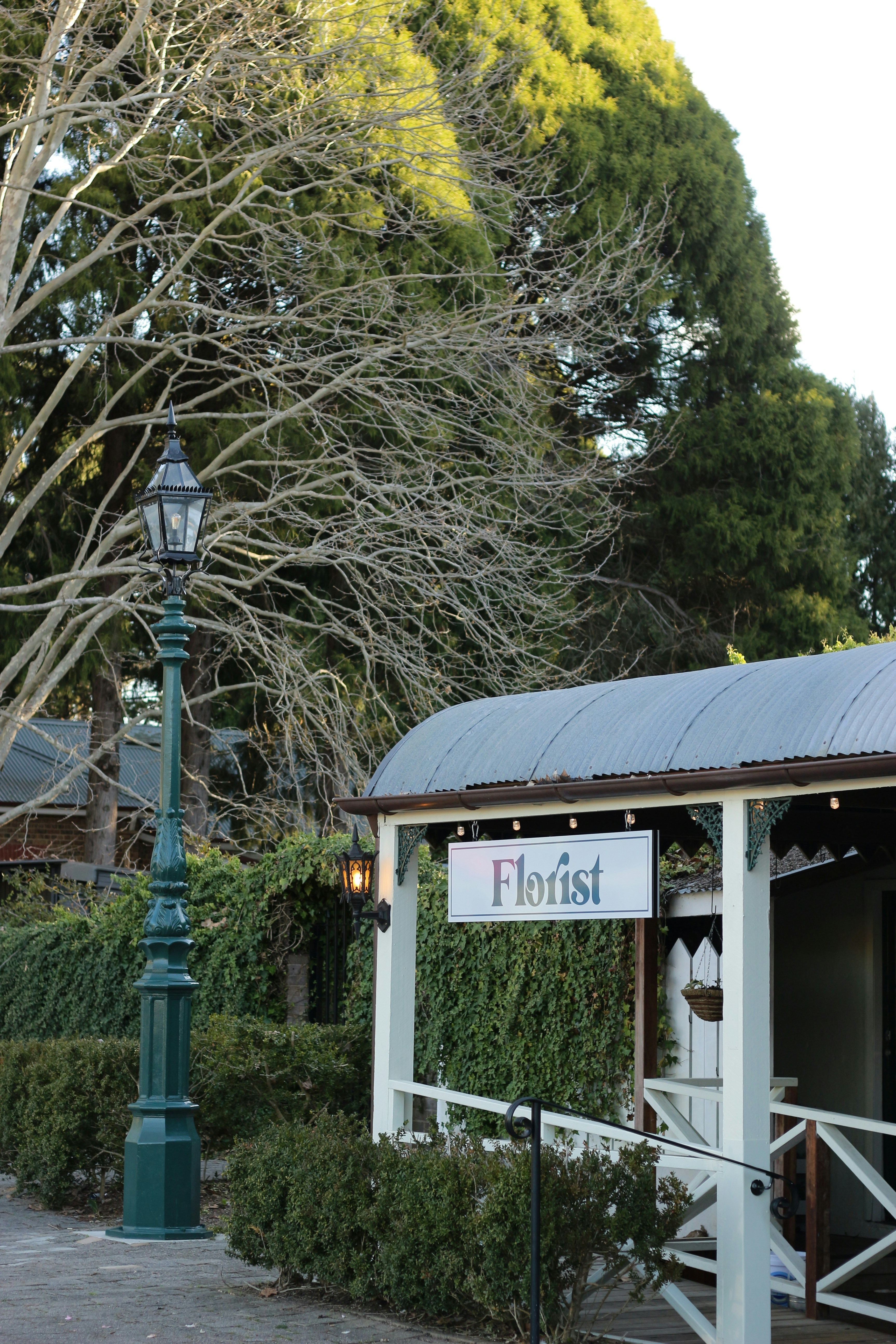 Florist Sign Under a Shady Pergola by a Vintage Lantern
