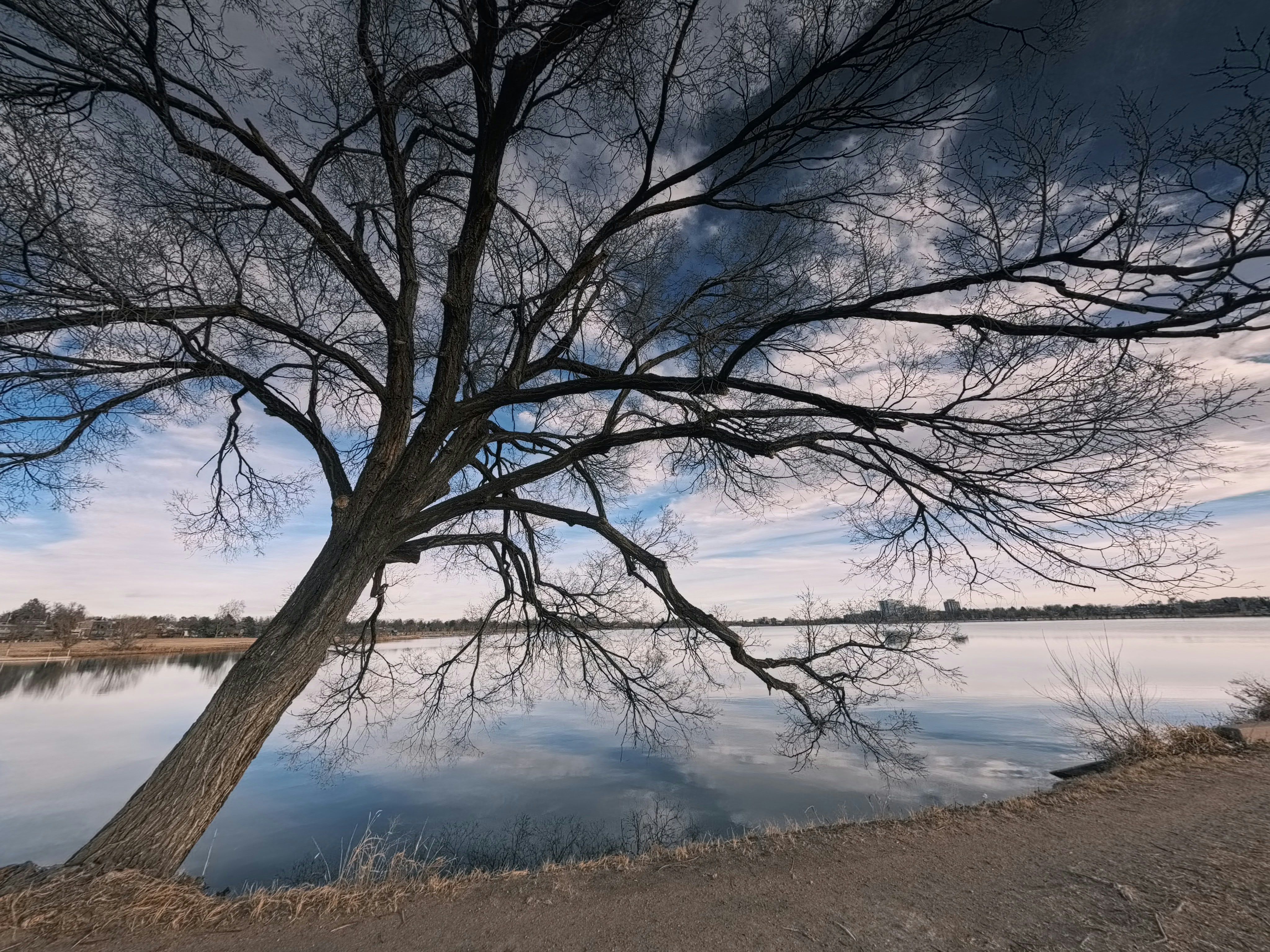 Bare tree branches against a cloudy sky over water