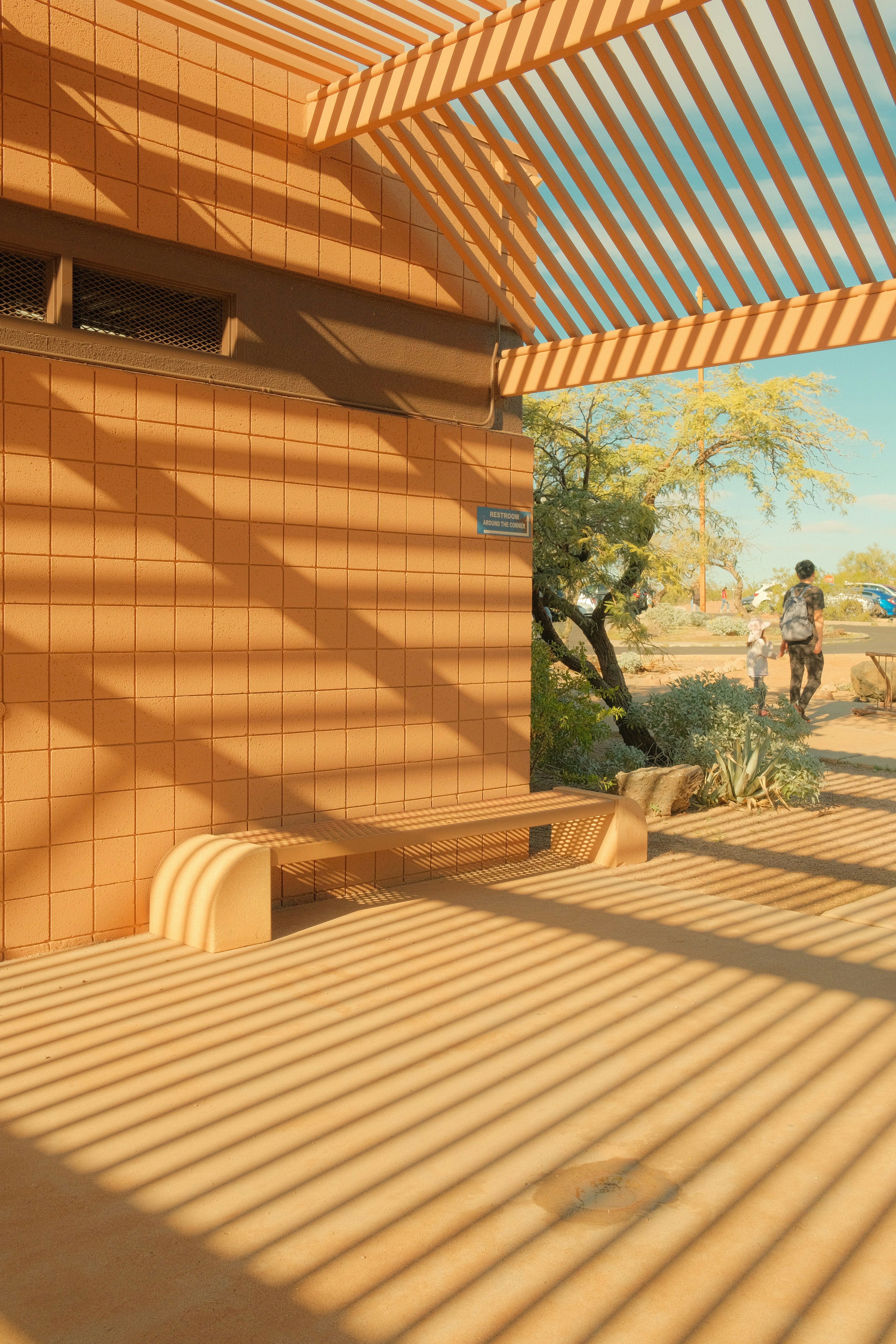 Shadows on a Warm Walkway