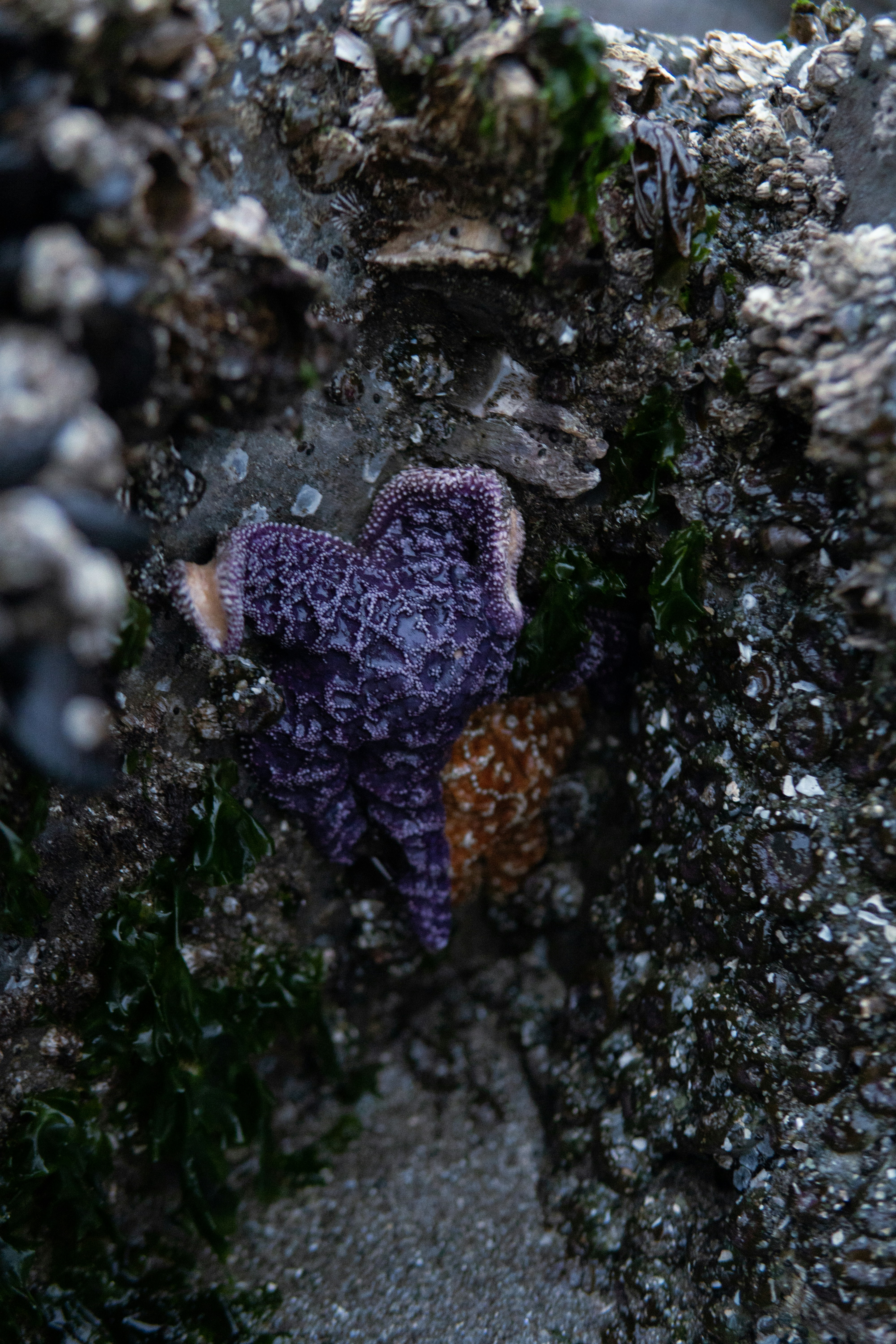 Joseph Arteaga (@jartea) | Unsplash Photo Community