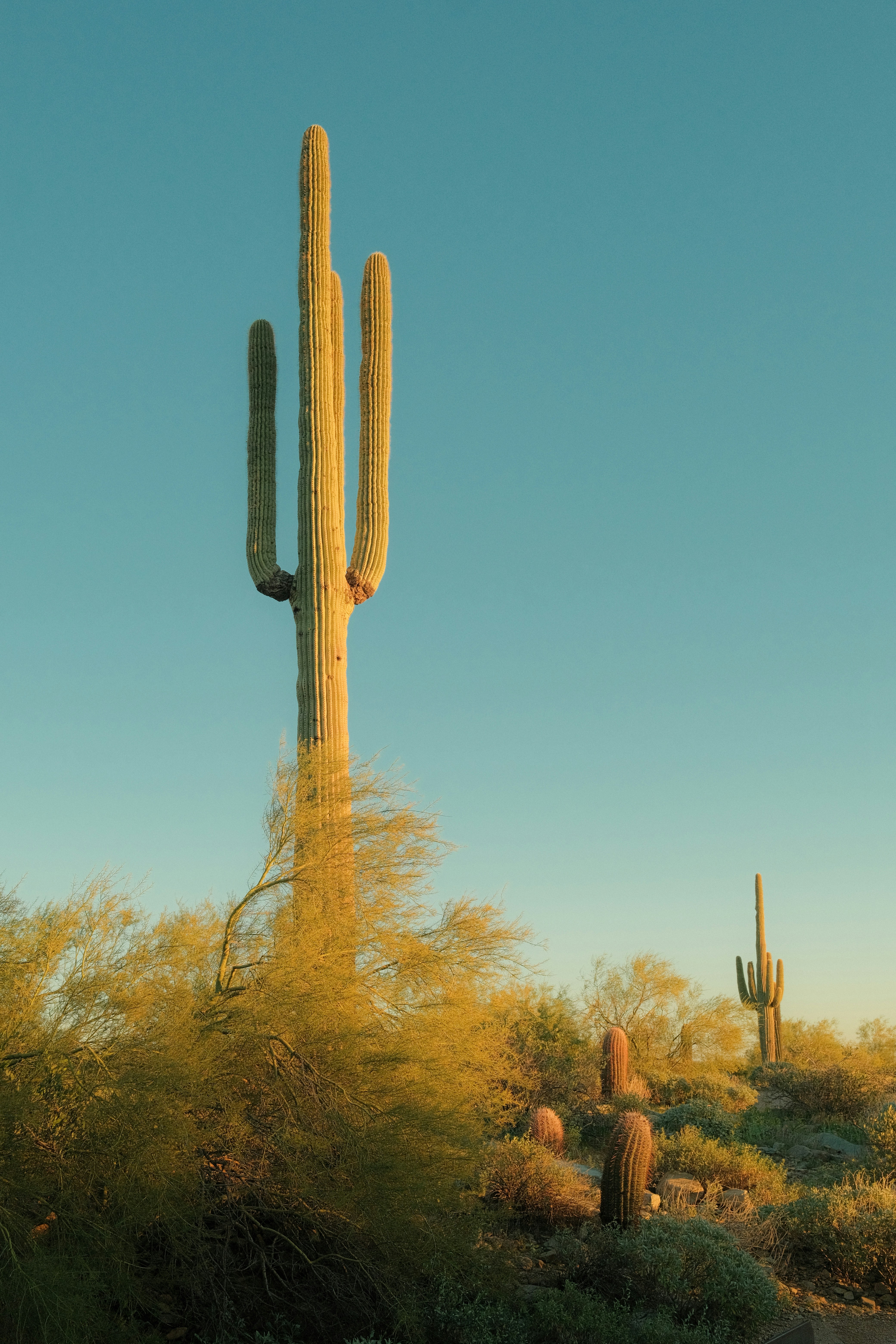 Photo by Dan Begel with Fujifilm X-T3