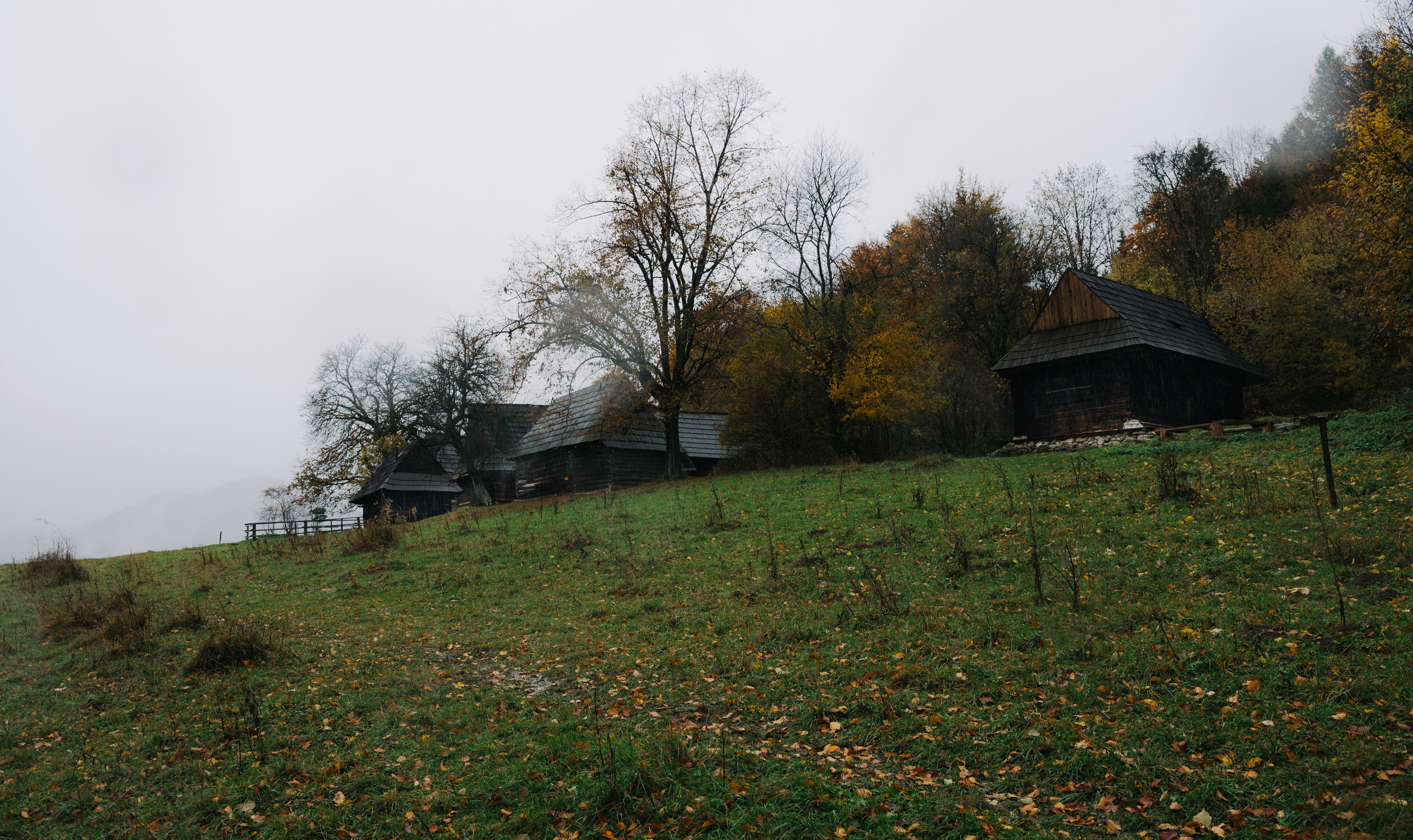 Photo by Norbert Buduczki with Nikon Z6