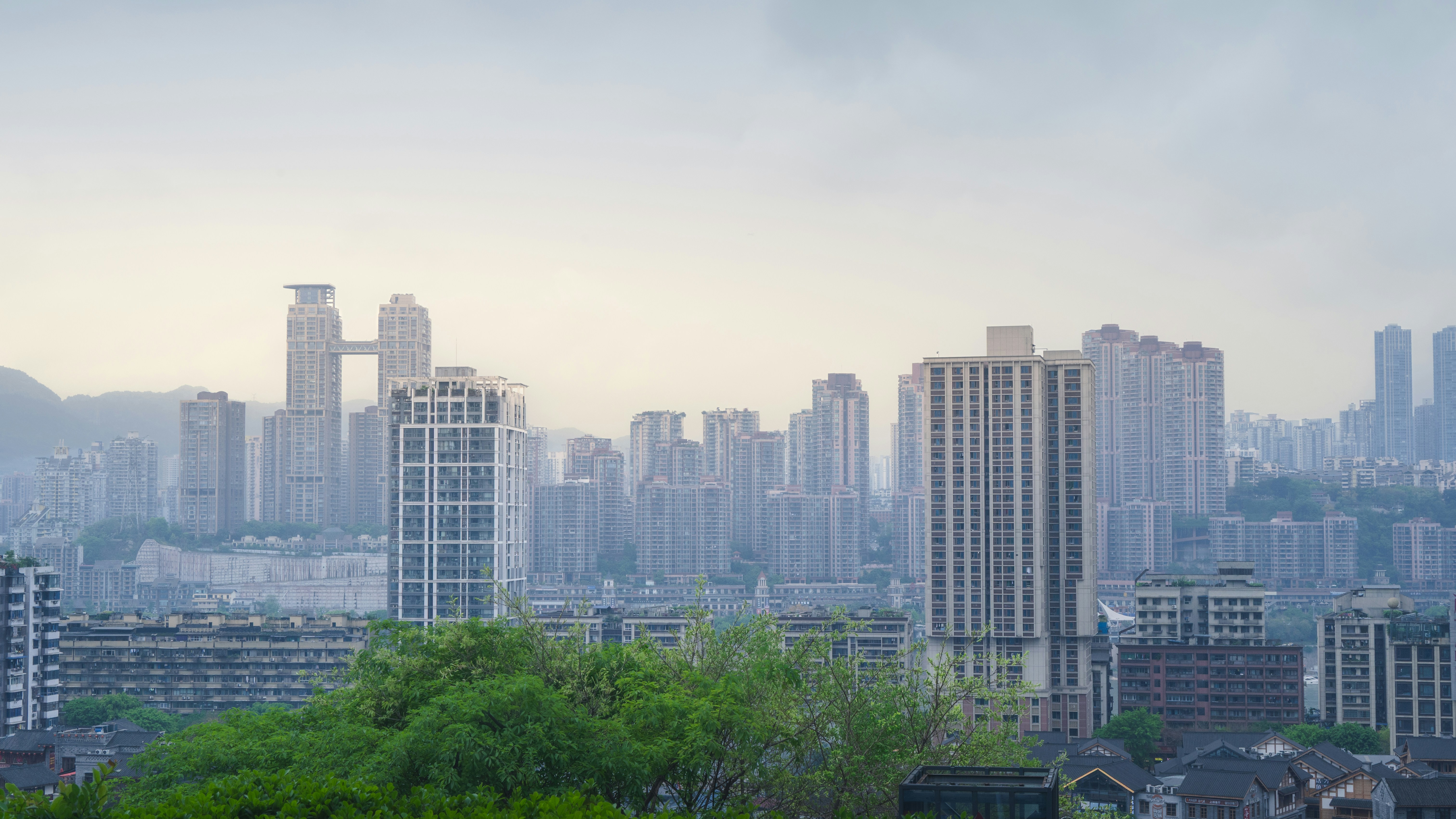 Photo by Pietro Donà with Nikon Z6