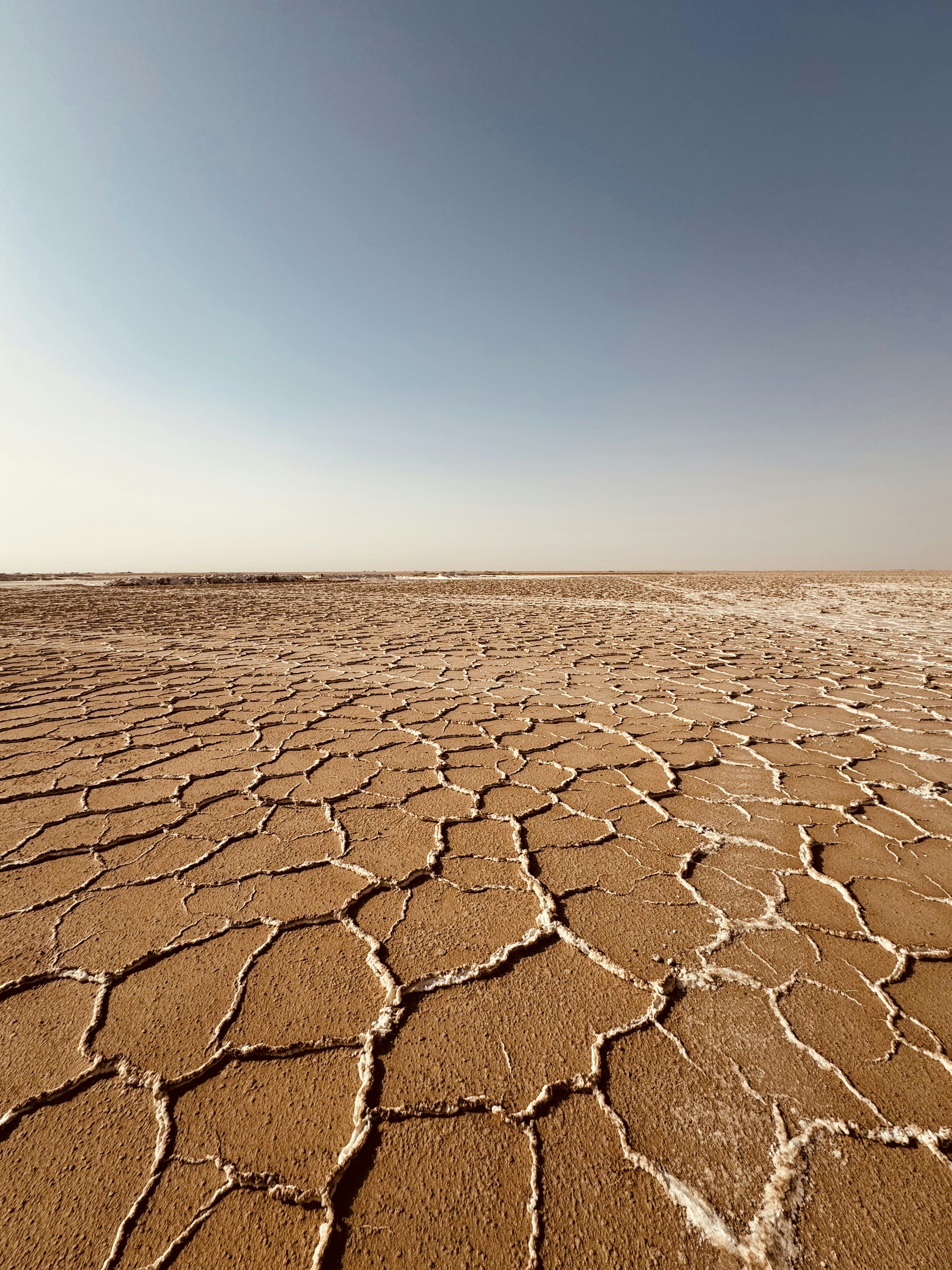 Mohammad Eskandari (@whiteoutzone) | Unsplash 사진 커뮤니티