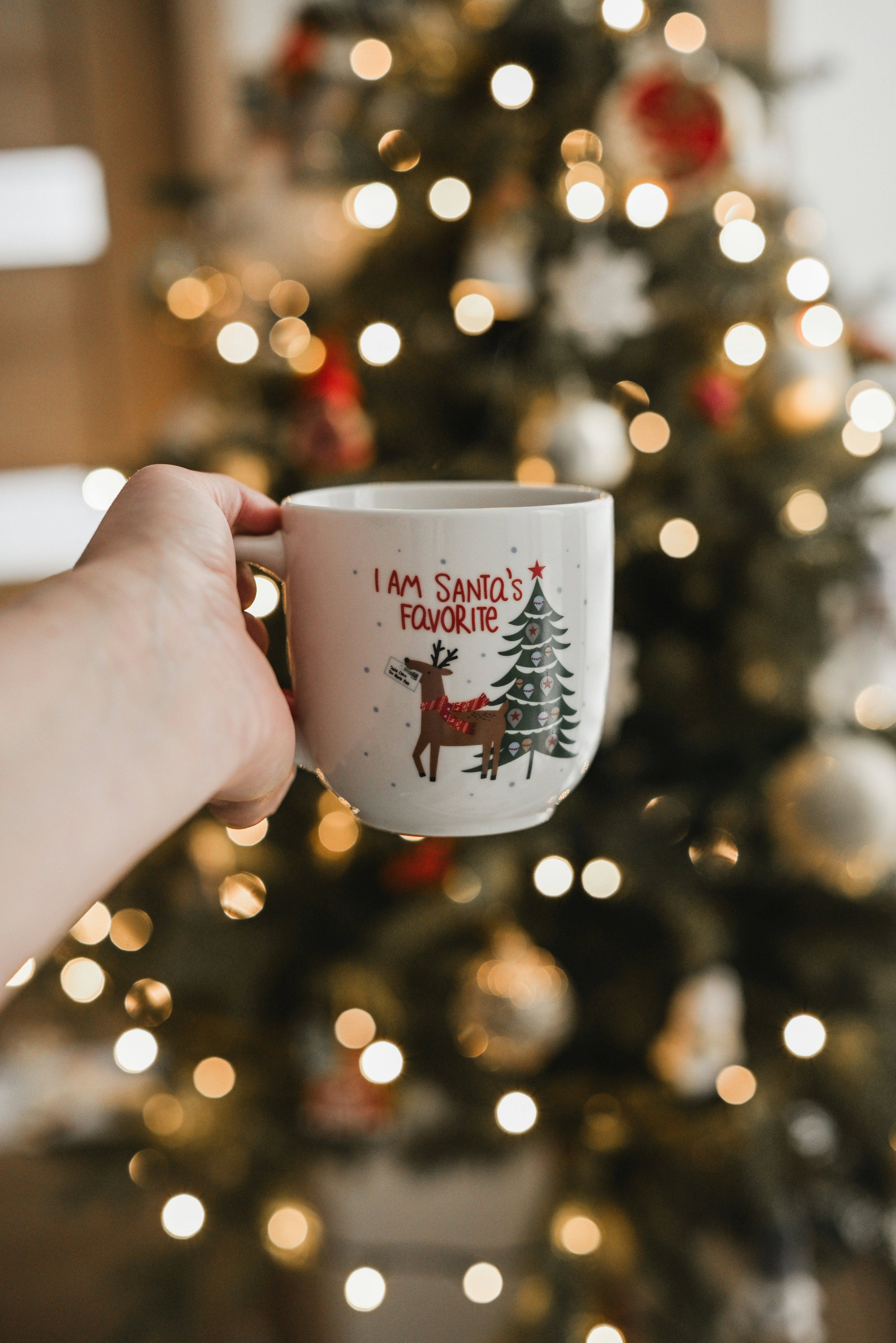  Cozy mug in foreground with Christmas tree glow in the background