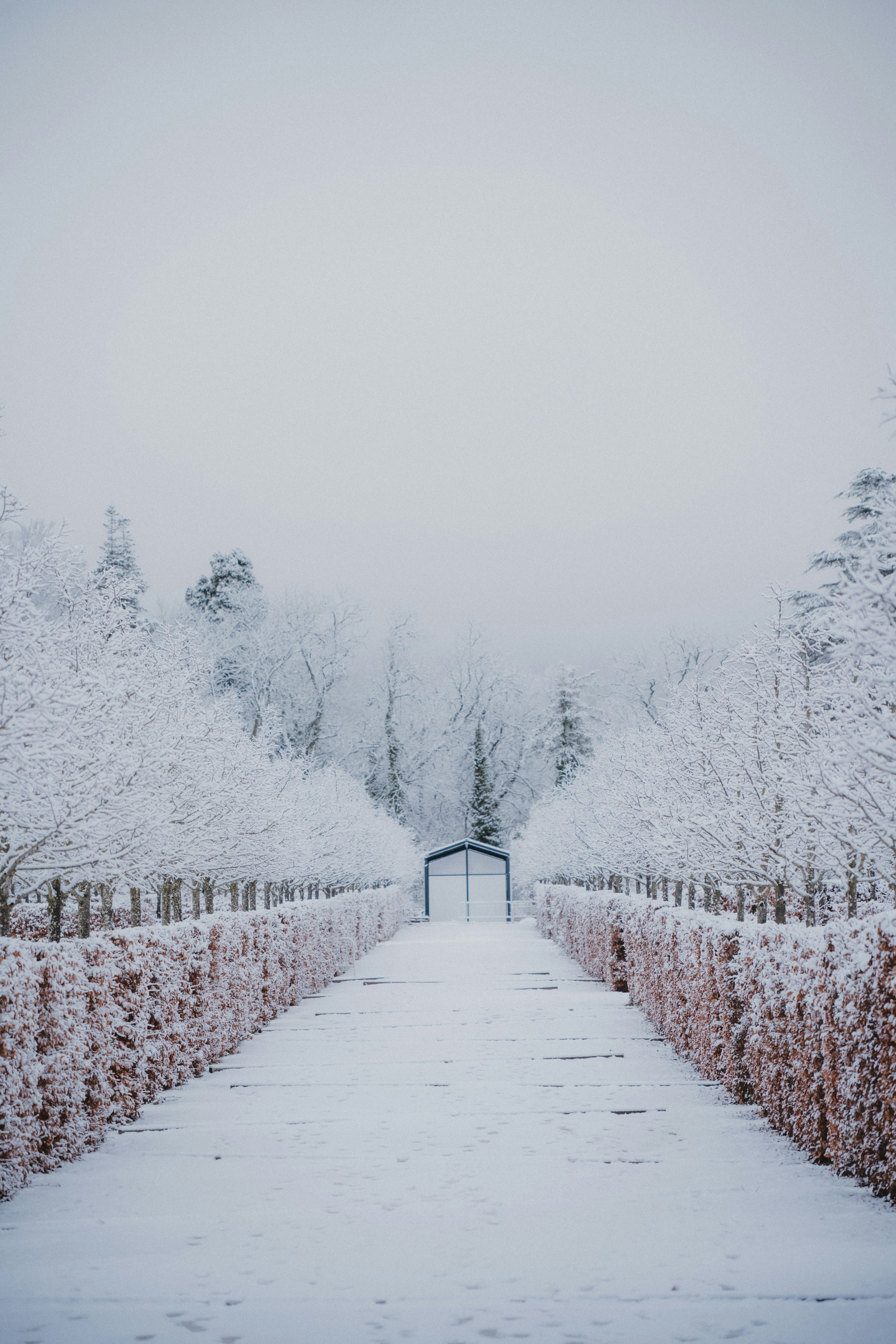 Snow-Cooled Aisle to the Shed