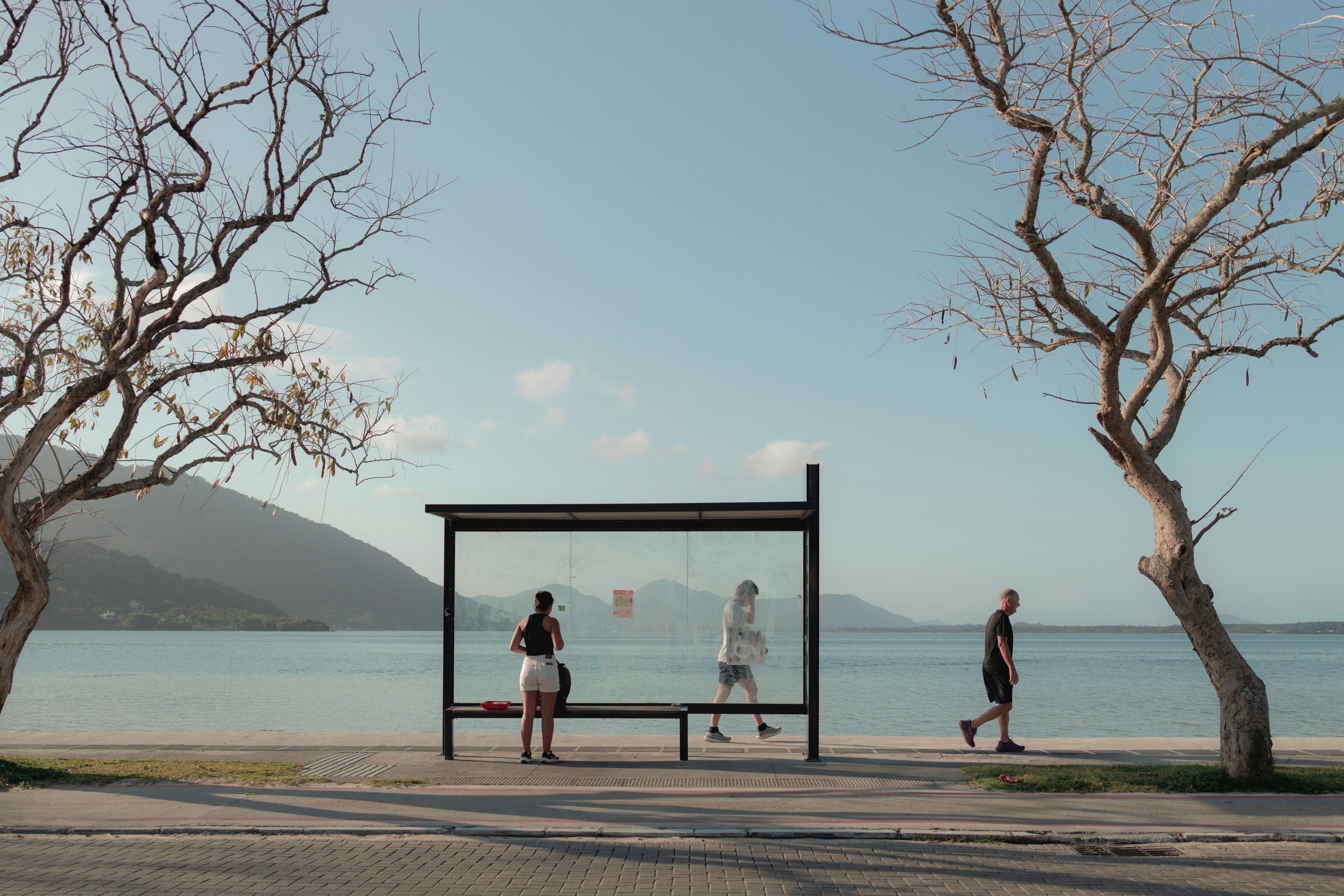 Bus Stop silhouettes along a tranquil seascape