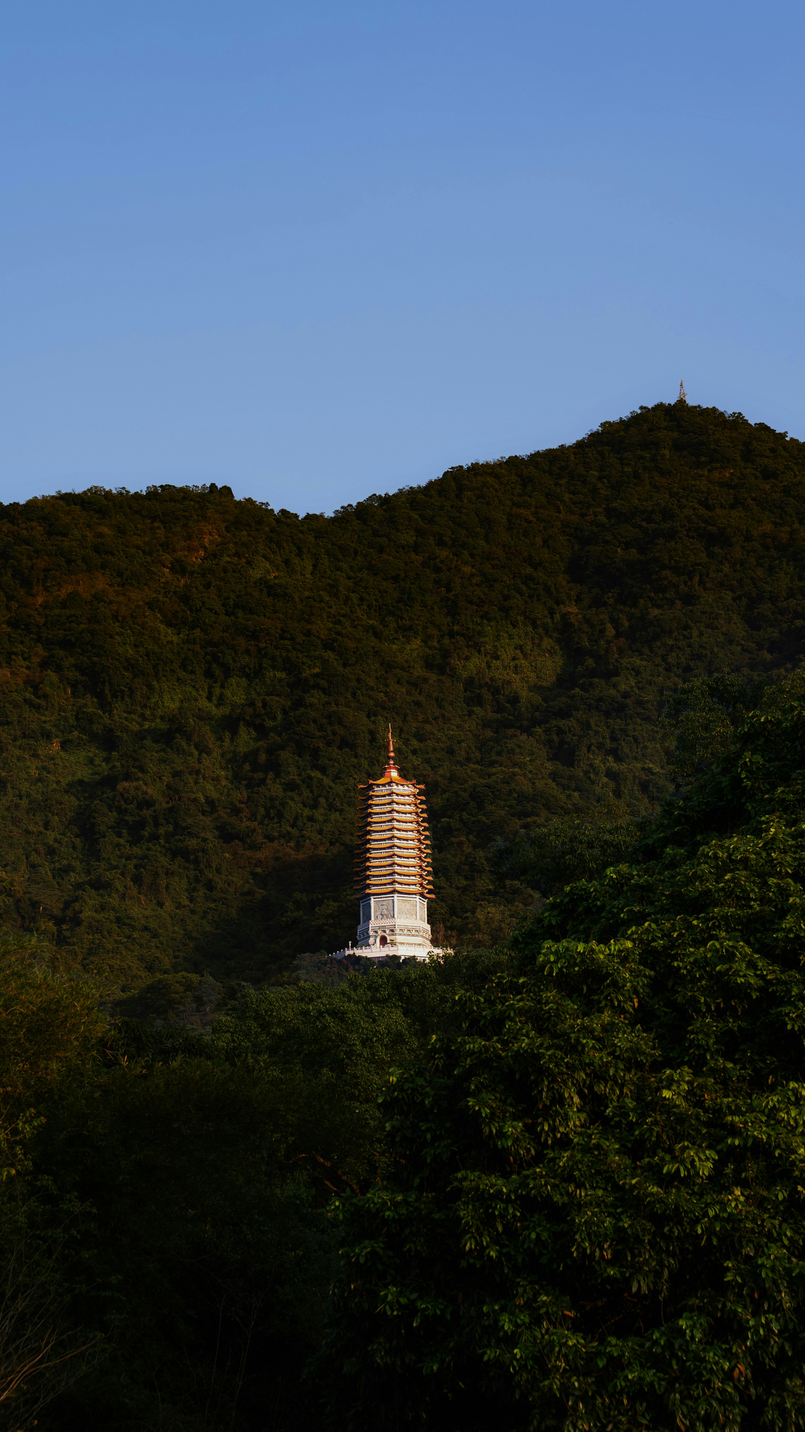 Temple Peak: A Lone Pagoda Among Quiet Pines