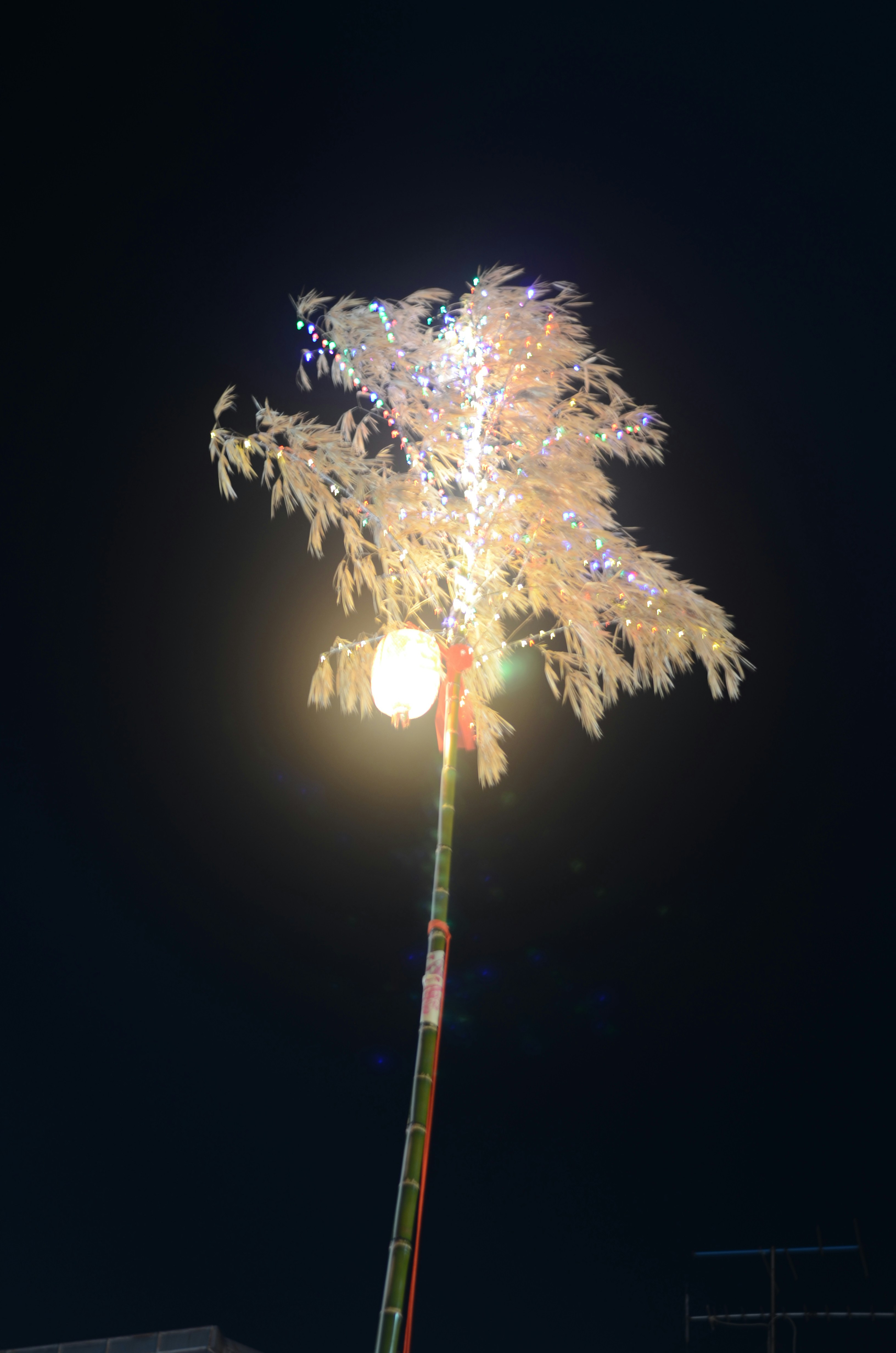 Night Palm Lantern: A Neon-Outline of Light Coiled Around a Tower