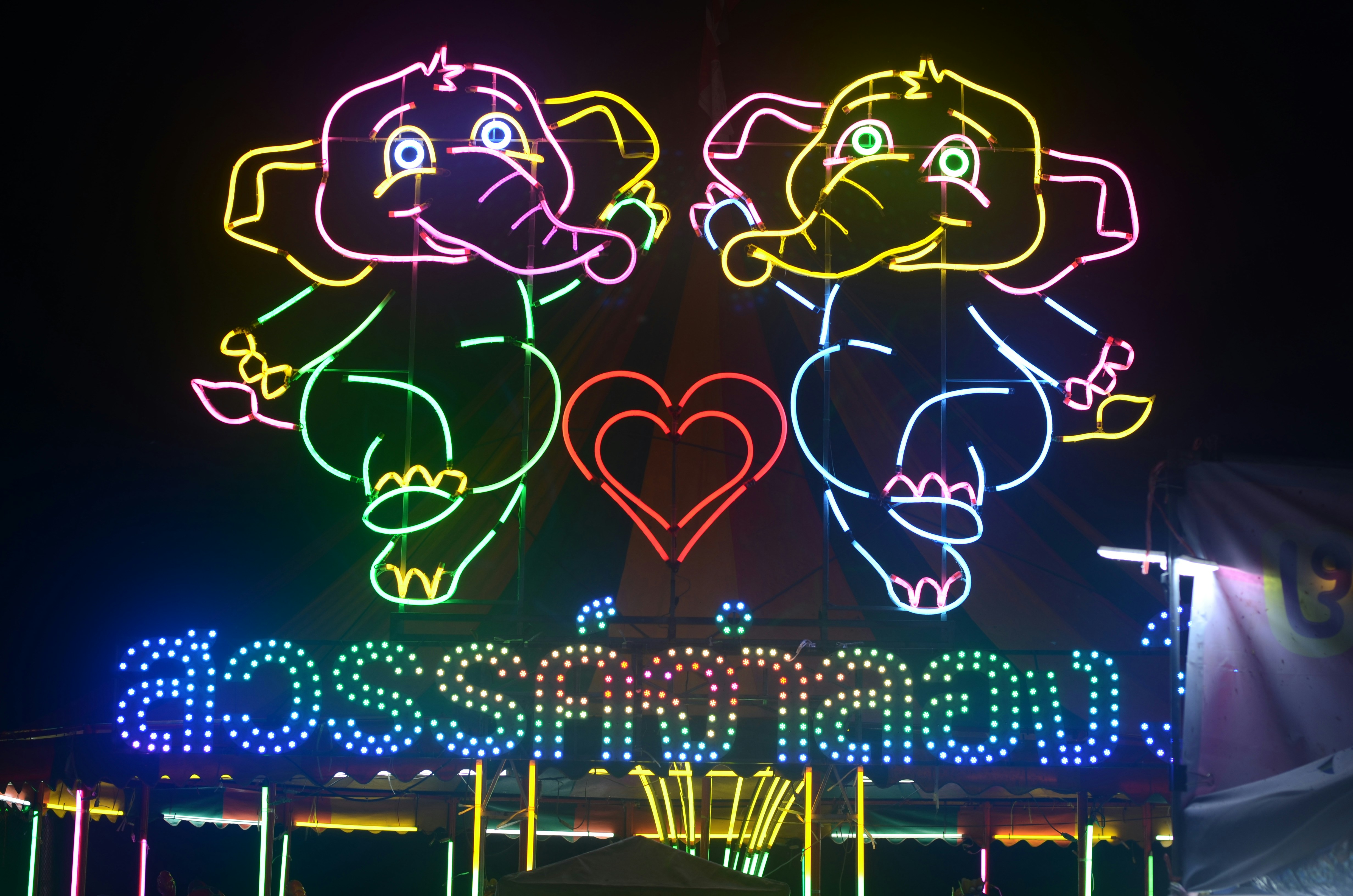 Neon Parade: Two Colorful Elephants Guarding a Heart