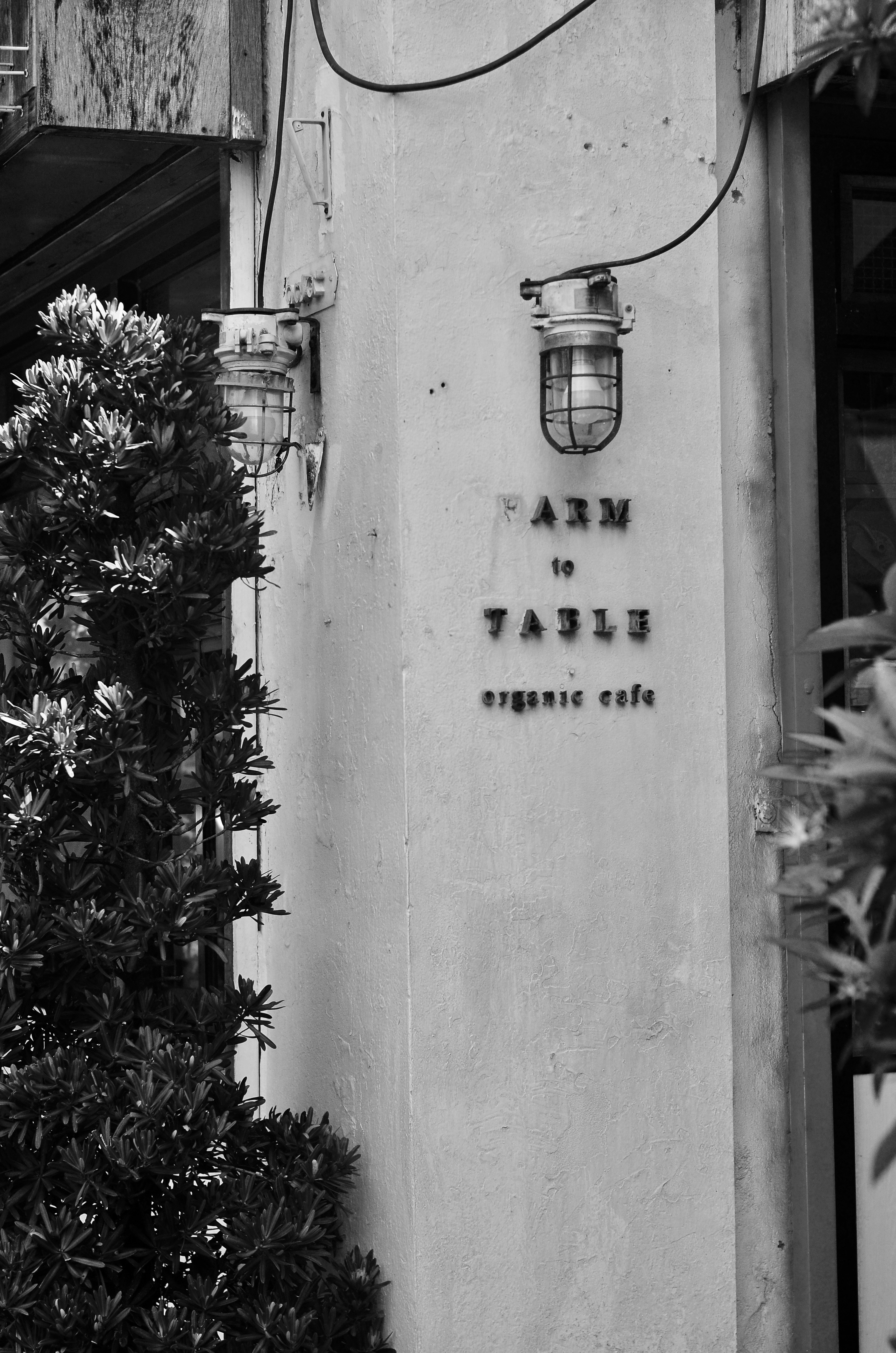 Weathered Café Sign Adrift on a Narrow Wall