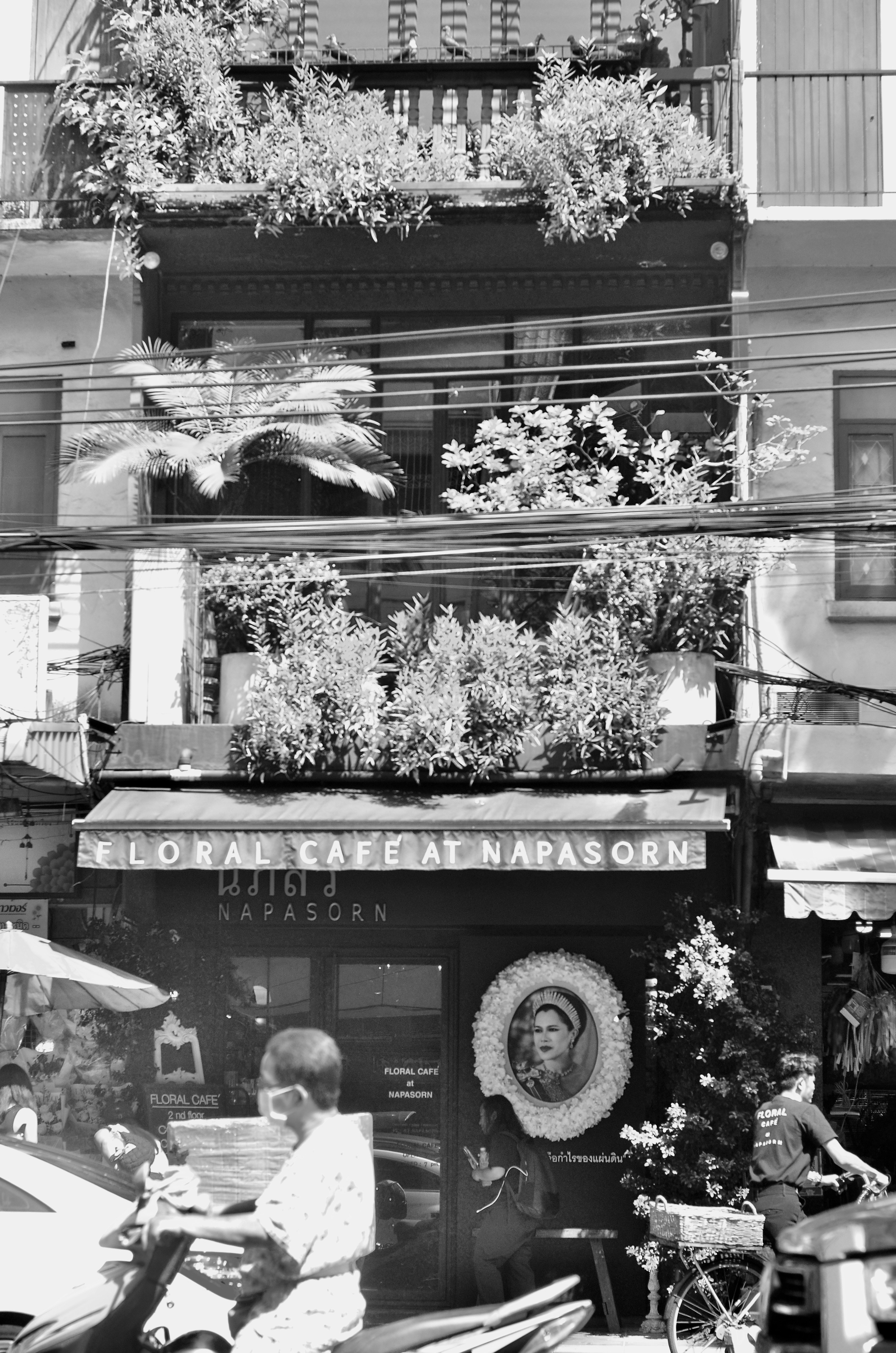 Floral Balcony Behind a Streetfront Café