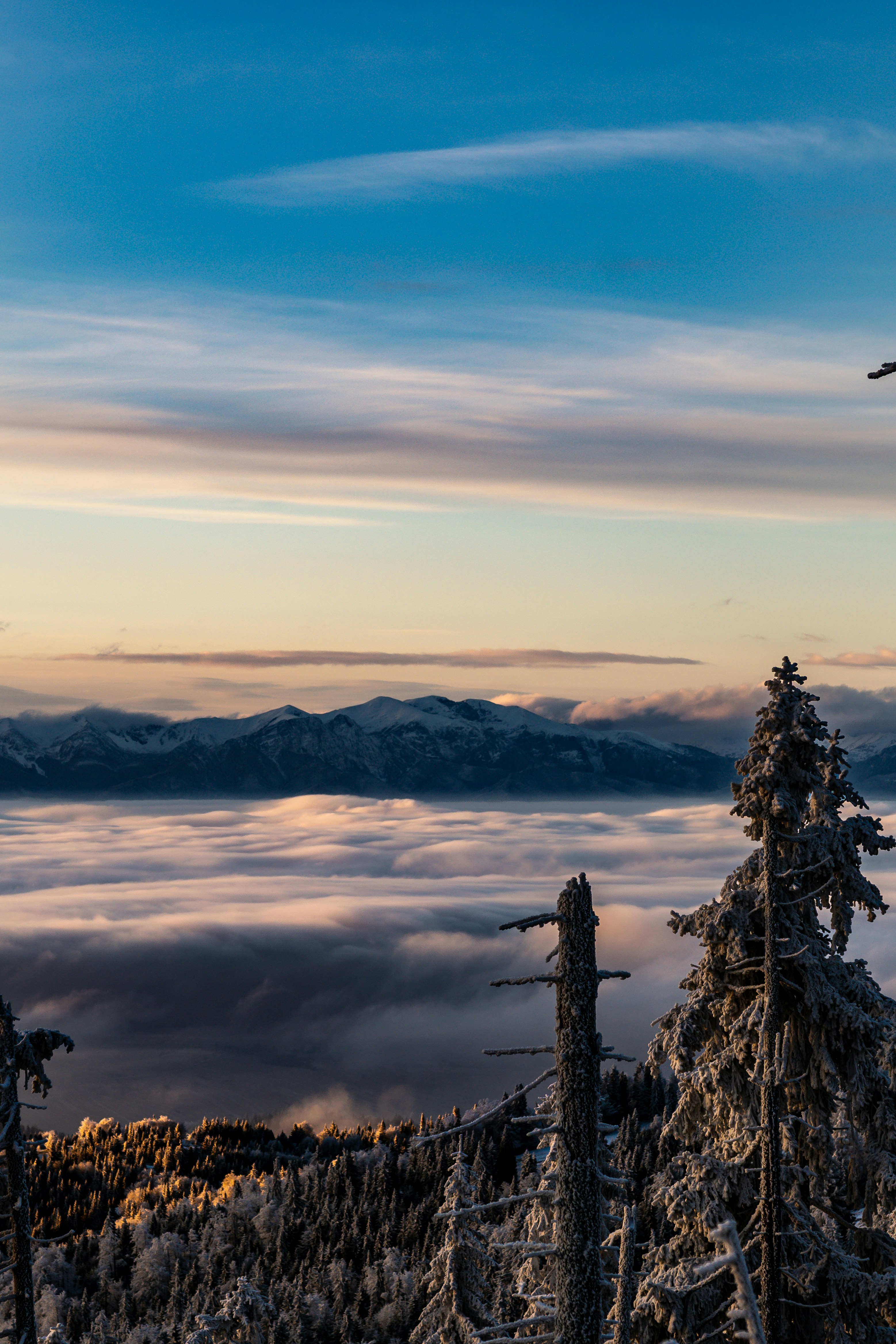 Sunset over a frost-kissed ridge: distant mountains above a sea of clouds