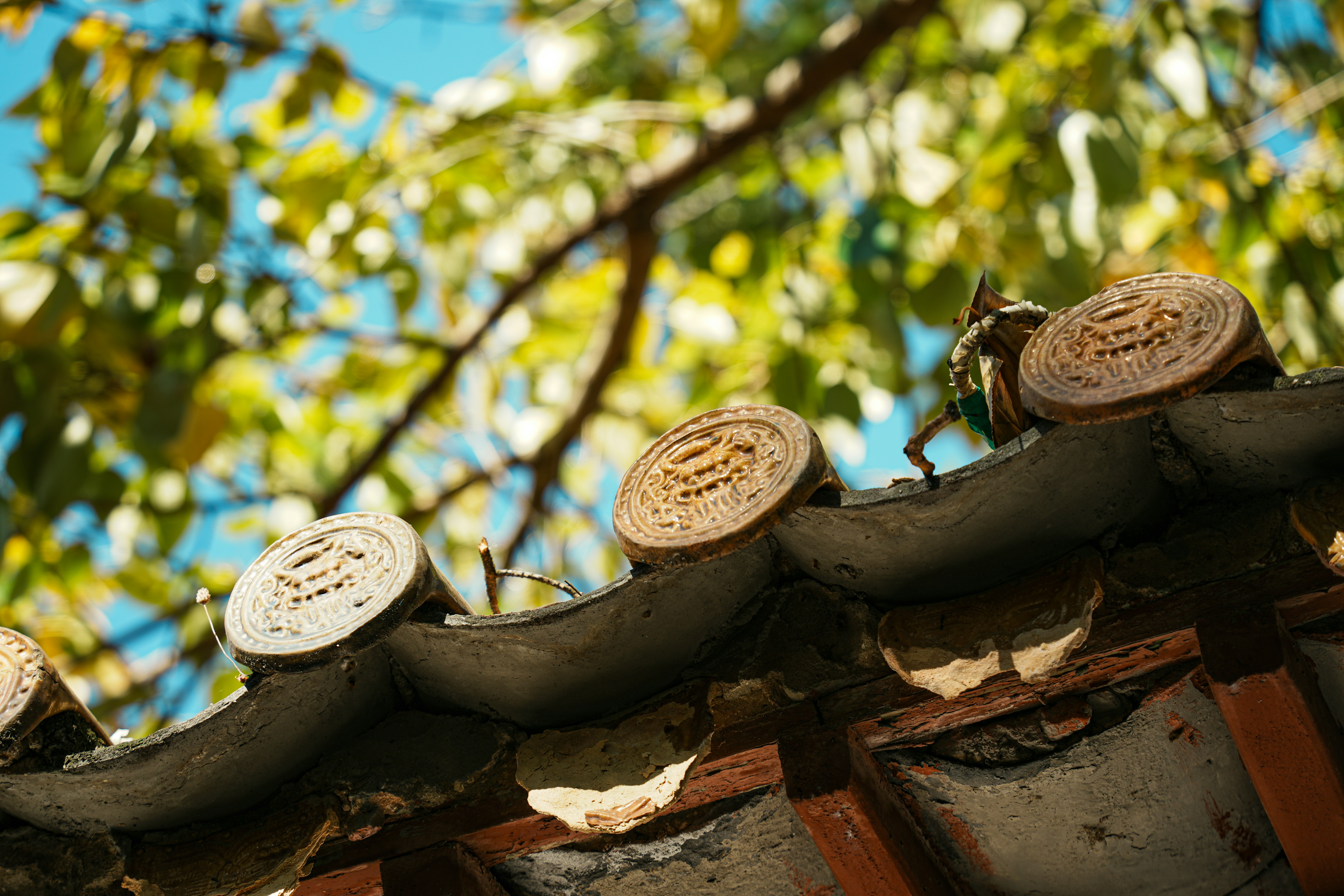 Curved Roof Tiles in Sunlit Orchard