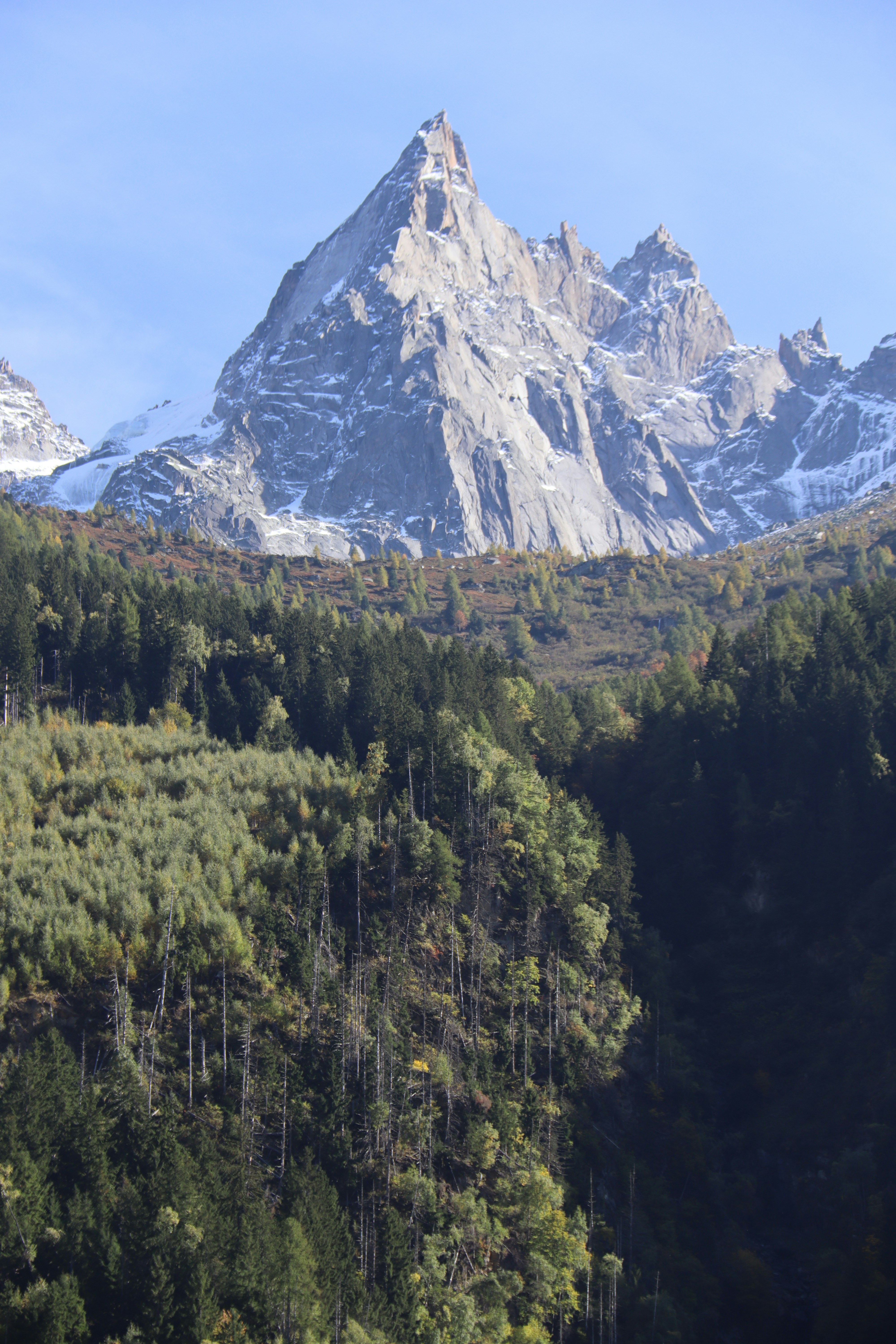 Majestic Peak Above a Quiet Forest Corridor