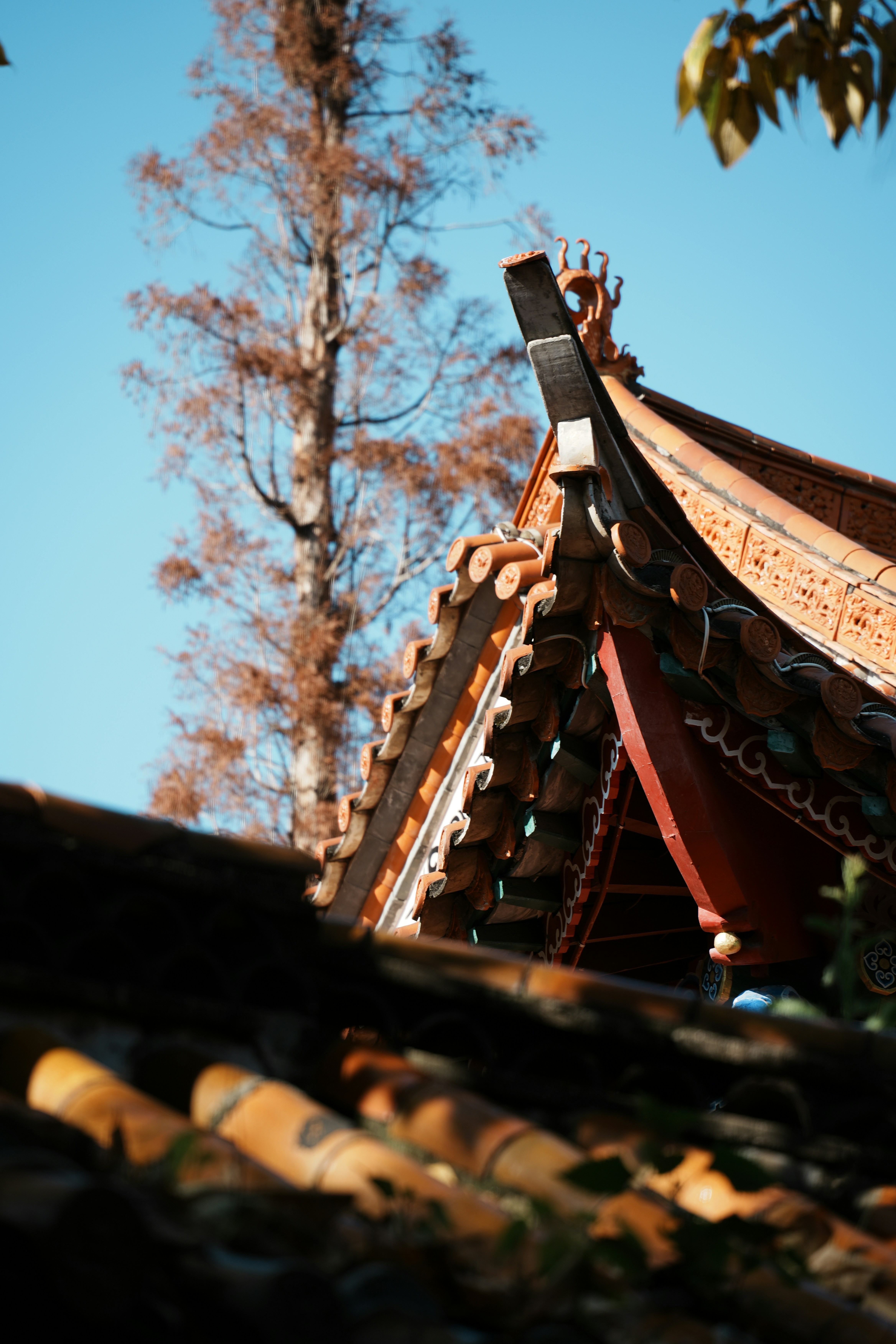 Rooftop Ridges: A Close View of Traditional Tilework Against a Clear Sky