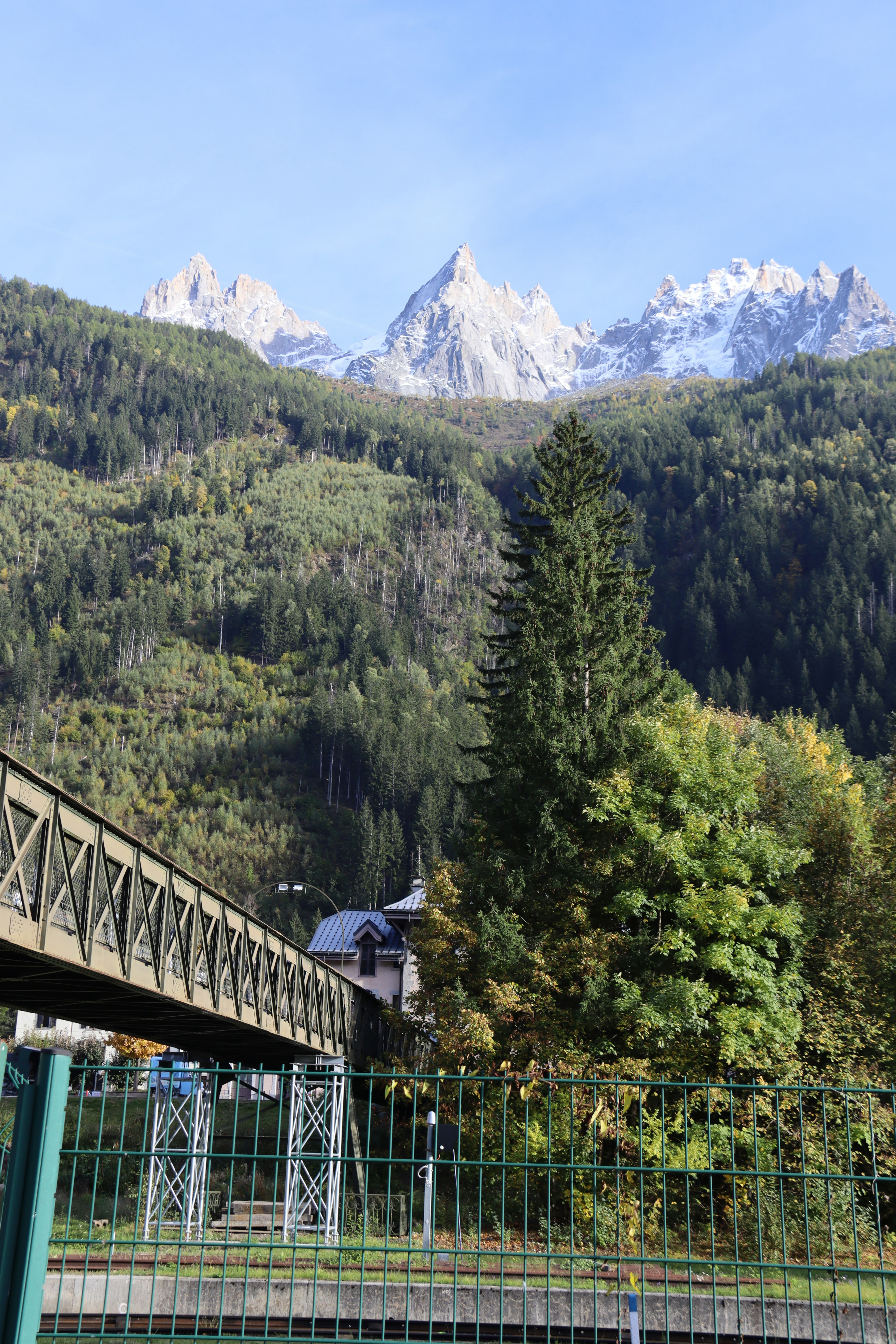 Railway Meets Ridge: A Mountain Rail Cut Through Forest