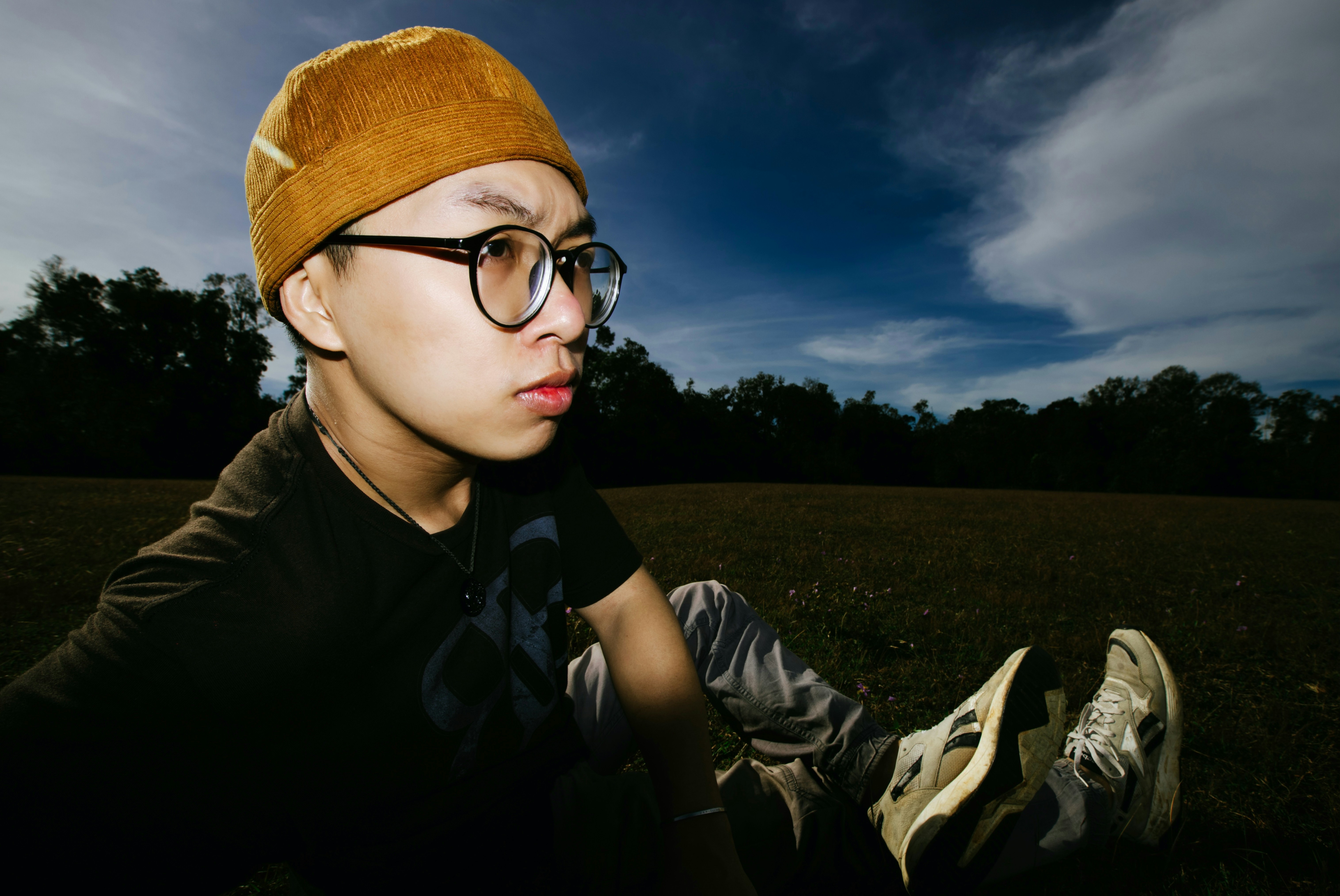 Close-up in the duskfield: a cropped portrait under a wide sky