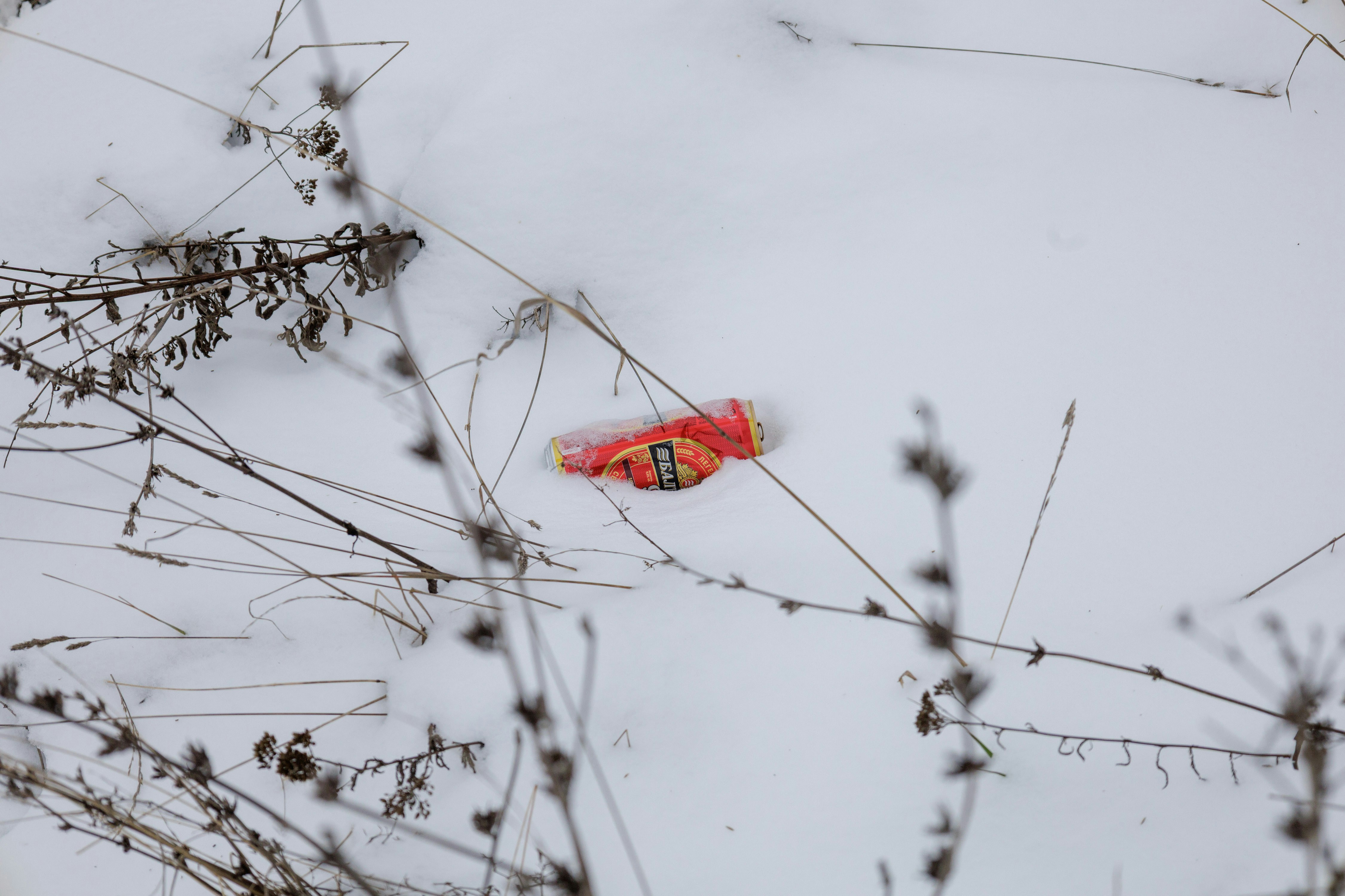 A lonely snack on a snowy field