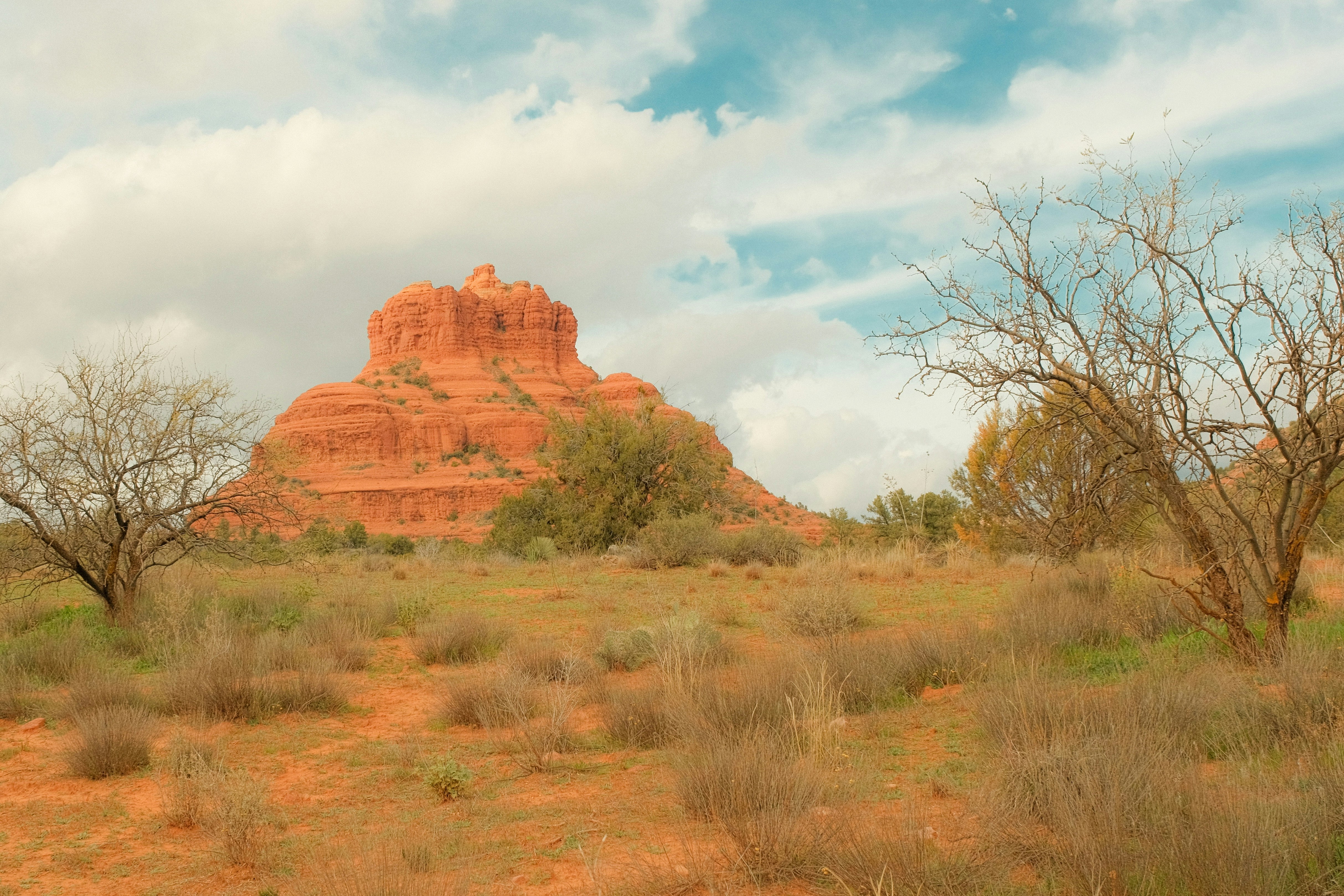 Red Rock Sentinel Rising Above Desert Grass