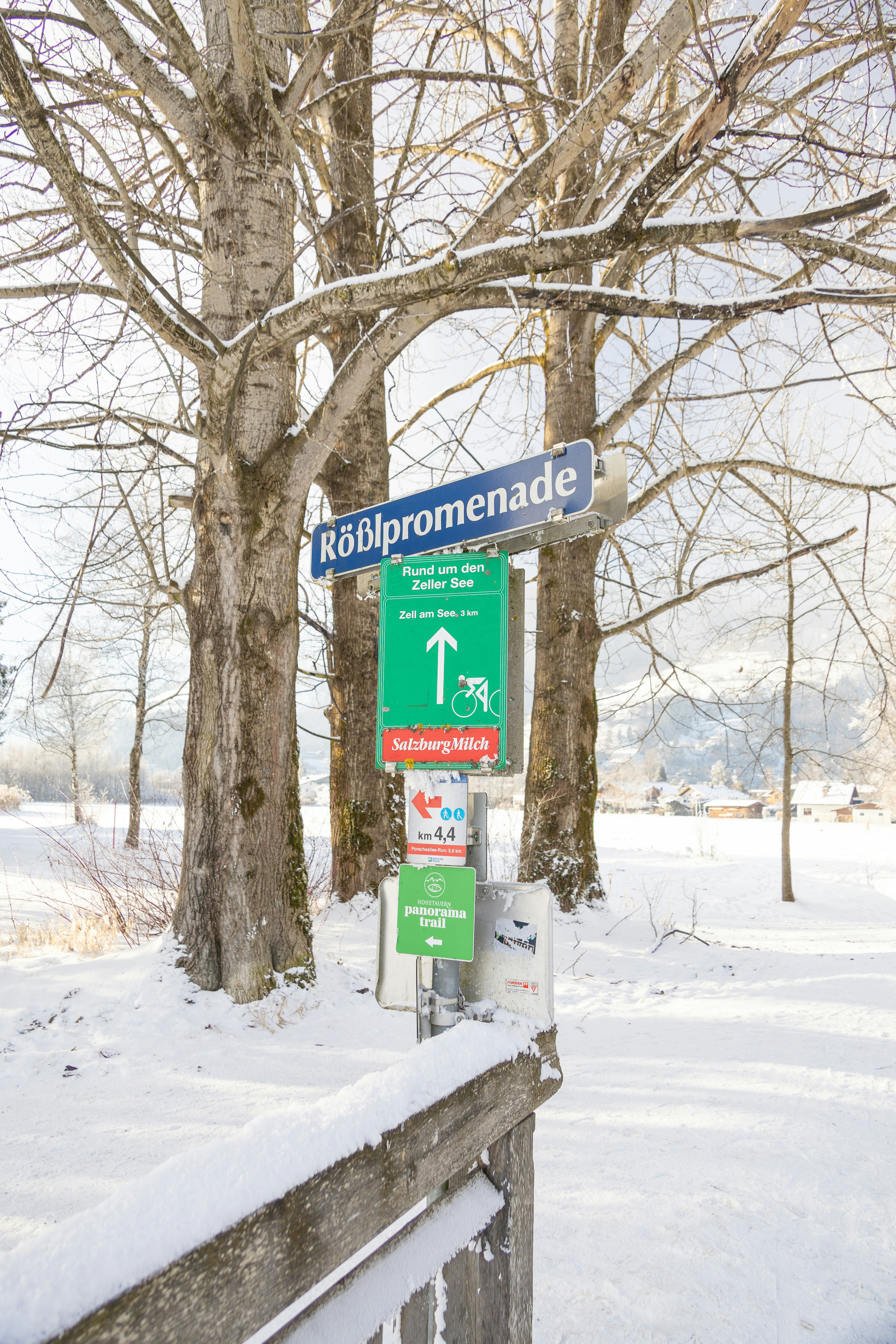 Signpost in Snow: A Quiet Winter Corridor by the River
