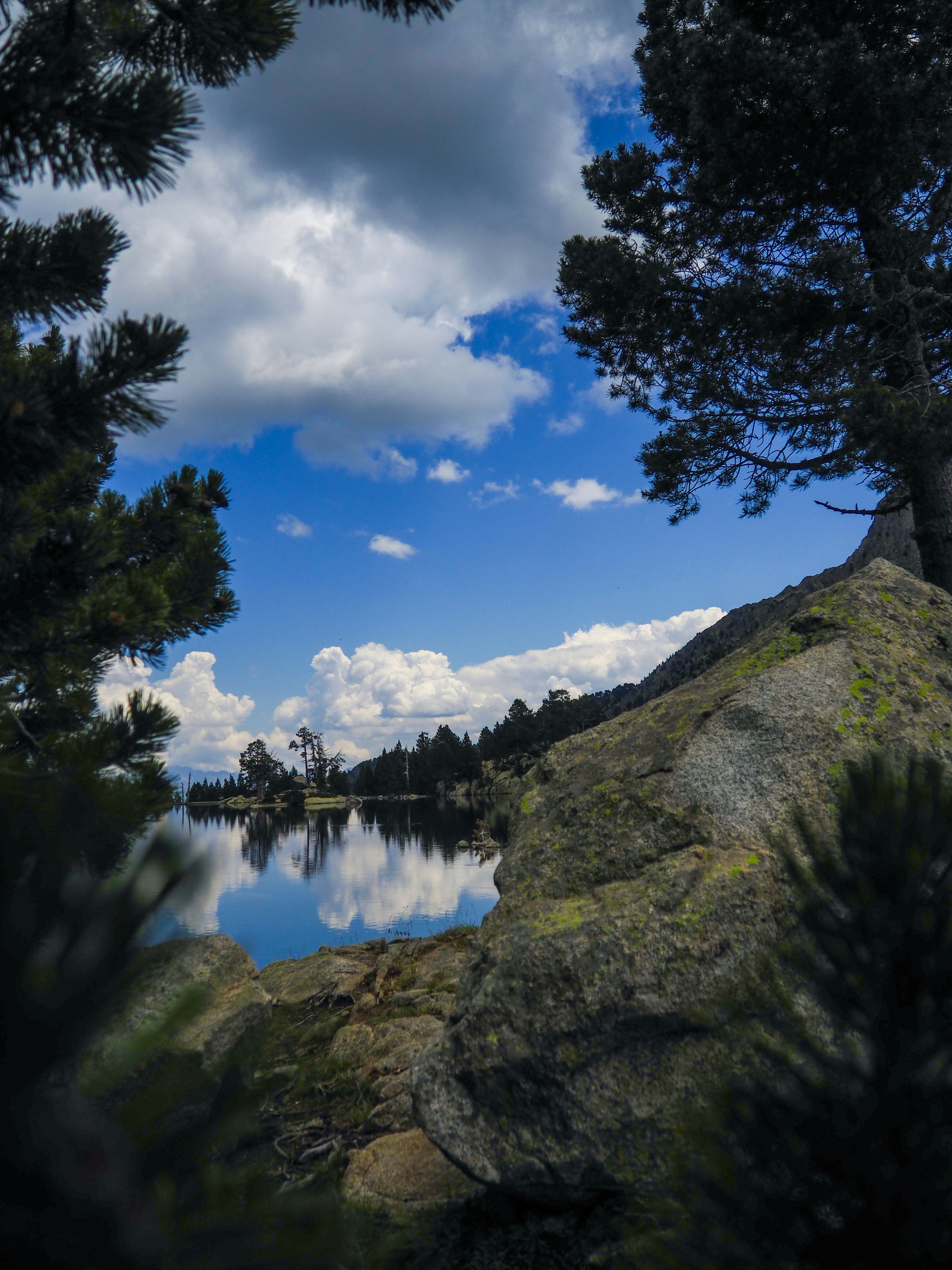 Rocks, Sky, and Still Water: A Quiet Lake Vista Framed by Pines