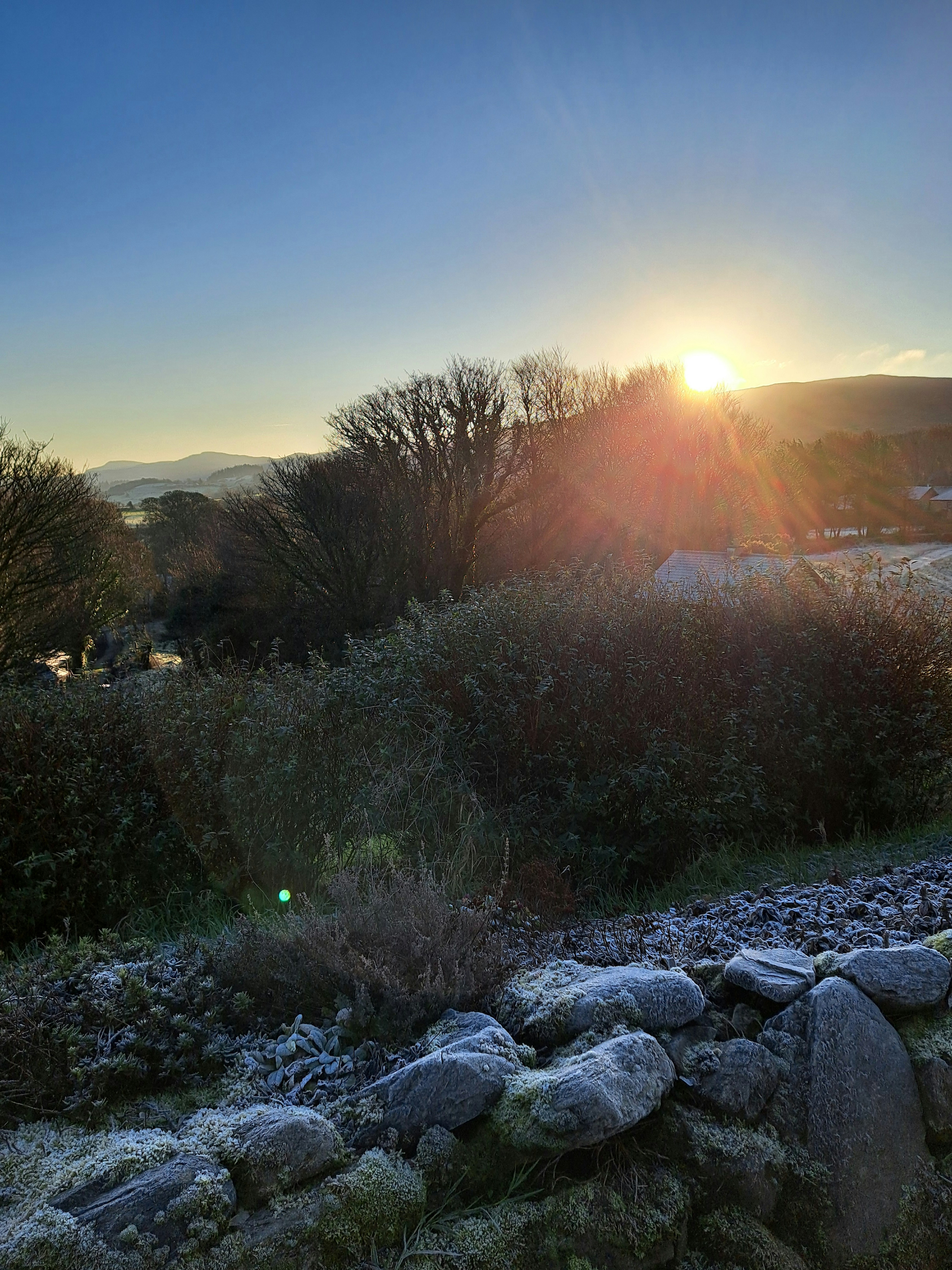Low Winter Sunset Over Stone Wall and Hedgerows