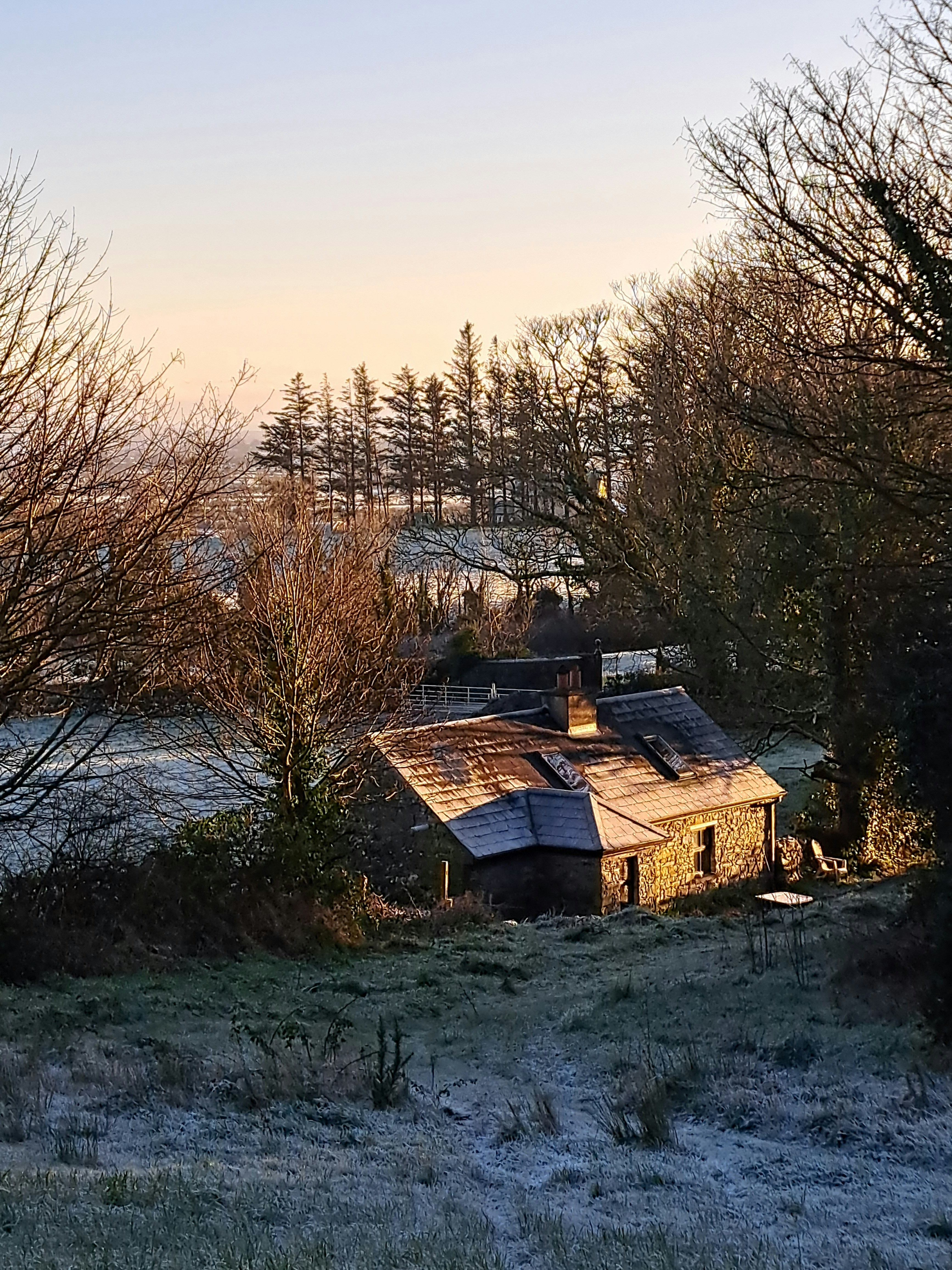 Sunlit cottage at the edge of a frost-kissed meadow