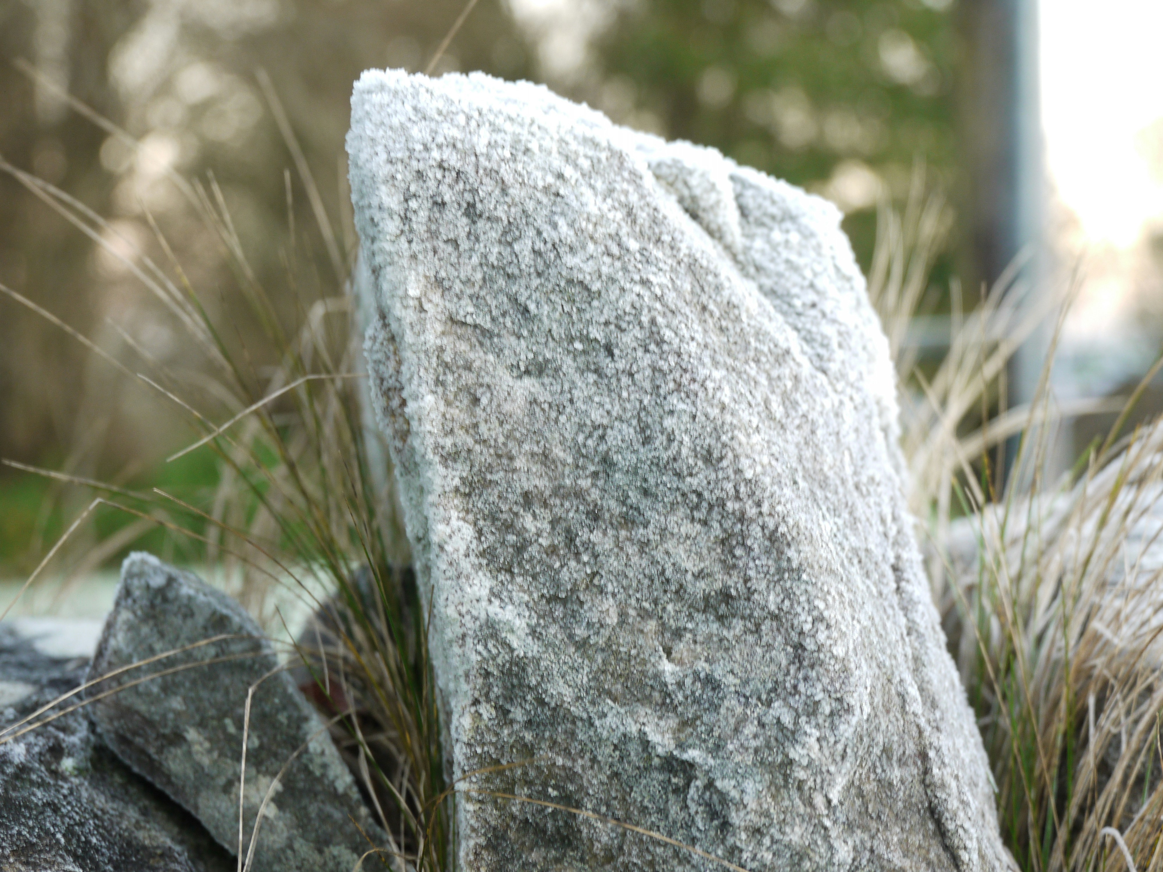 Weathered Monument: A Granite Sentinel Framed by Dry Grass