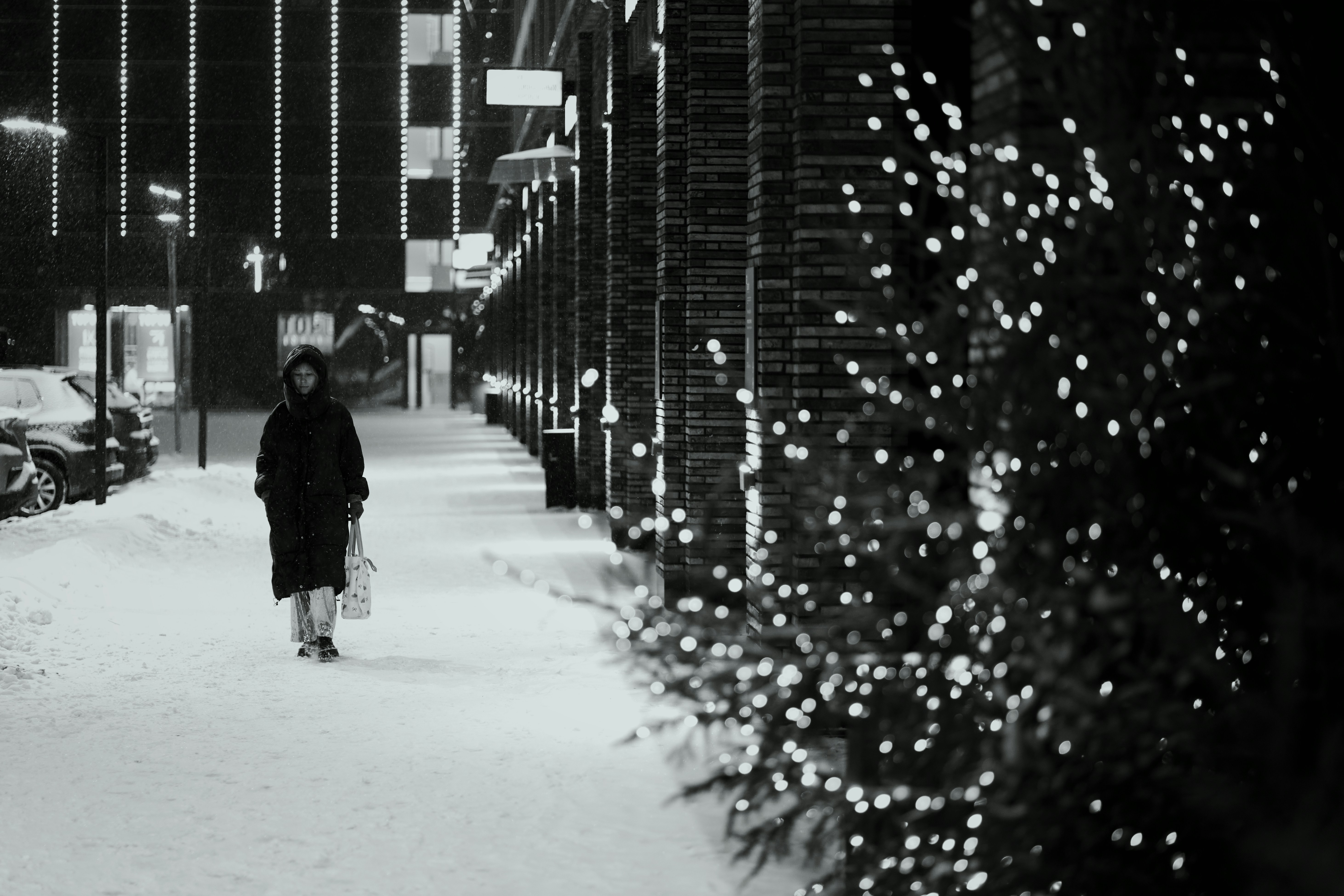 A Quiet Walk Through Winter Glow