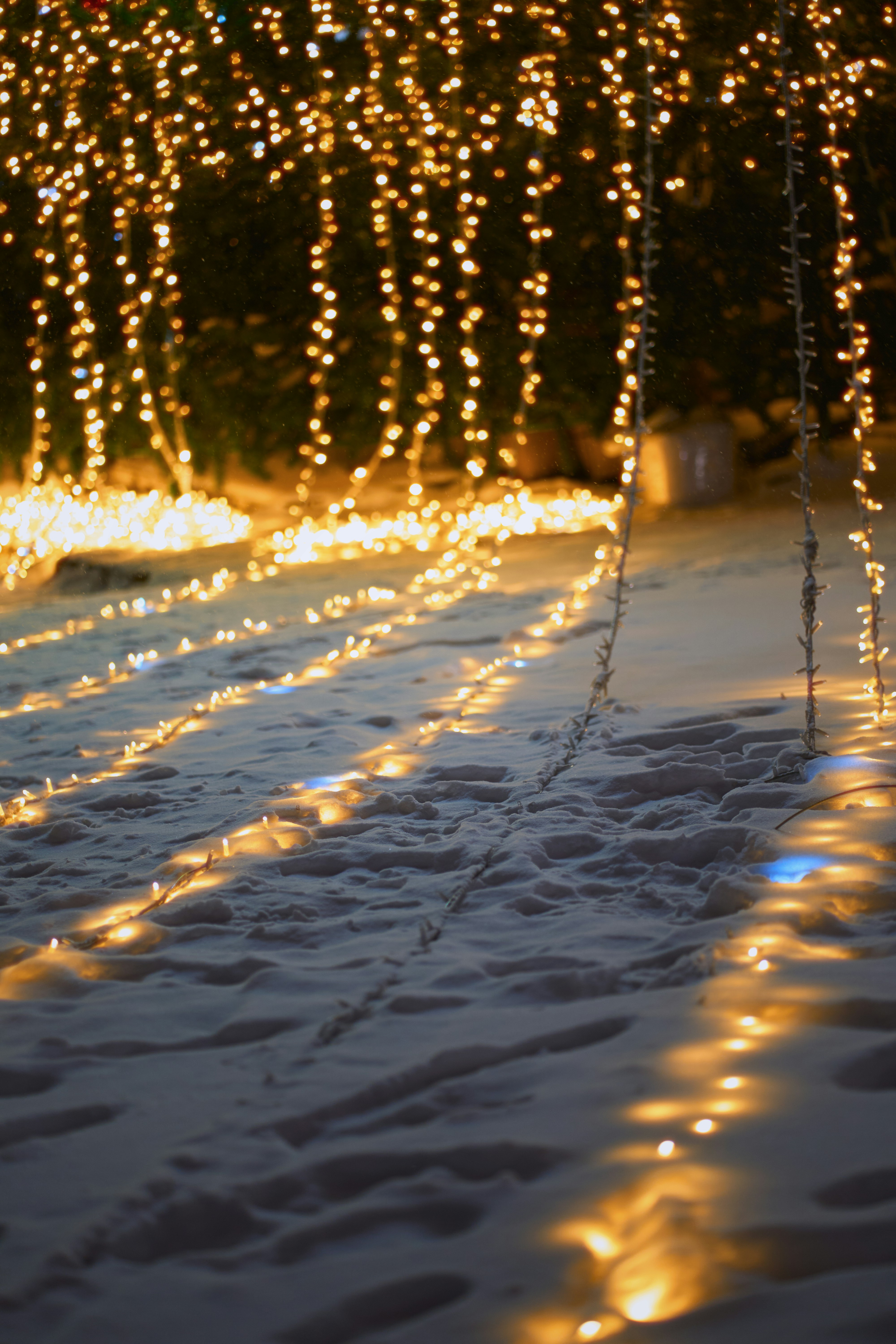 Golden Sparkle Trails Across Snow