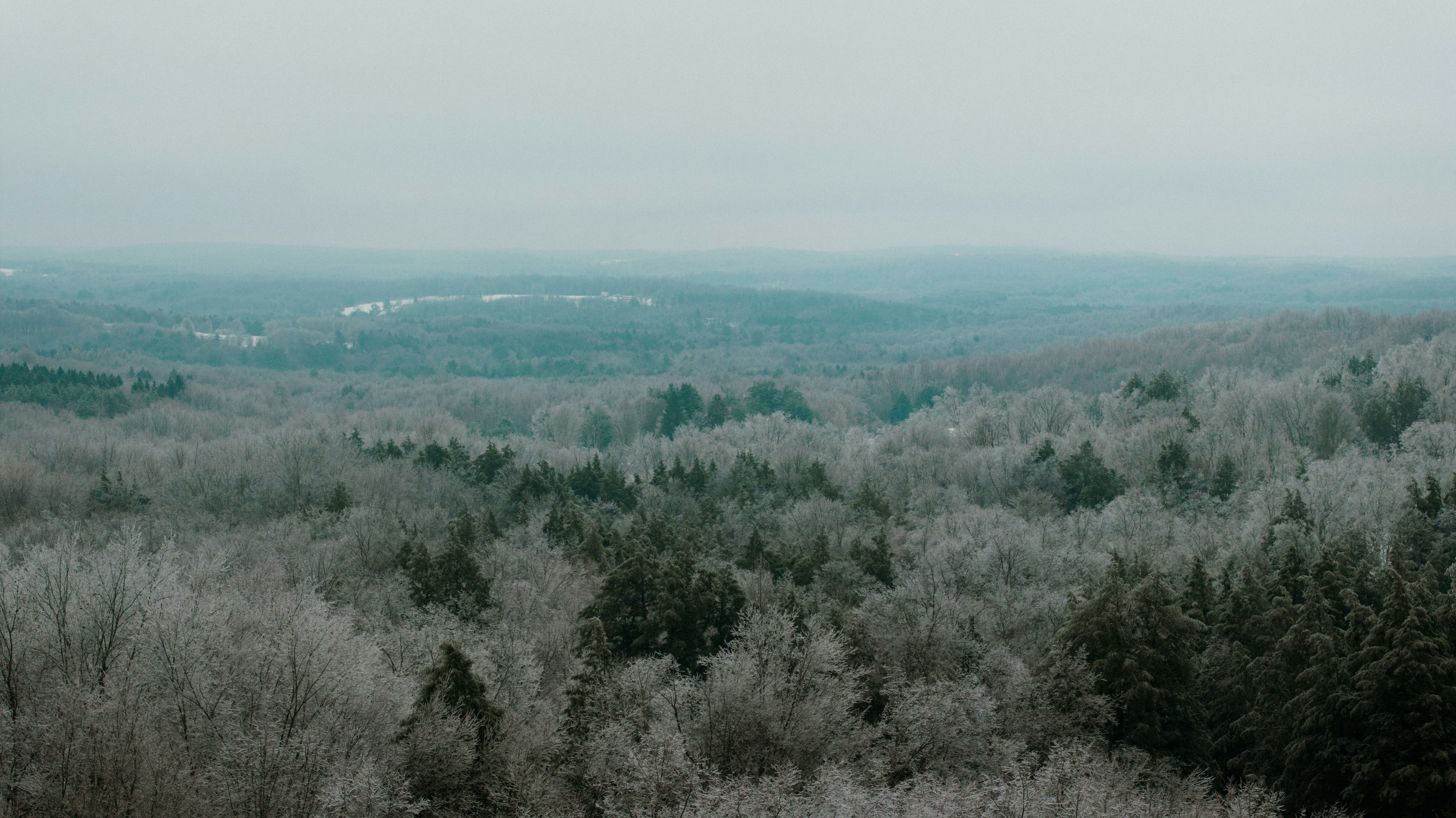 Photo by Donnie Rosie with DJI Mavic 3 Pro