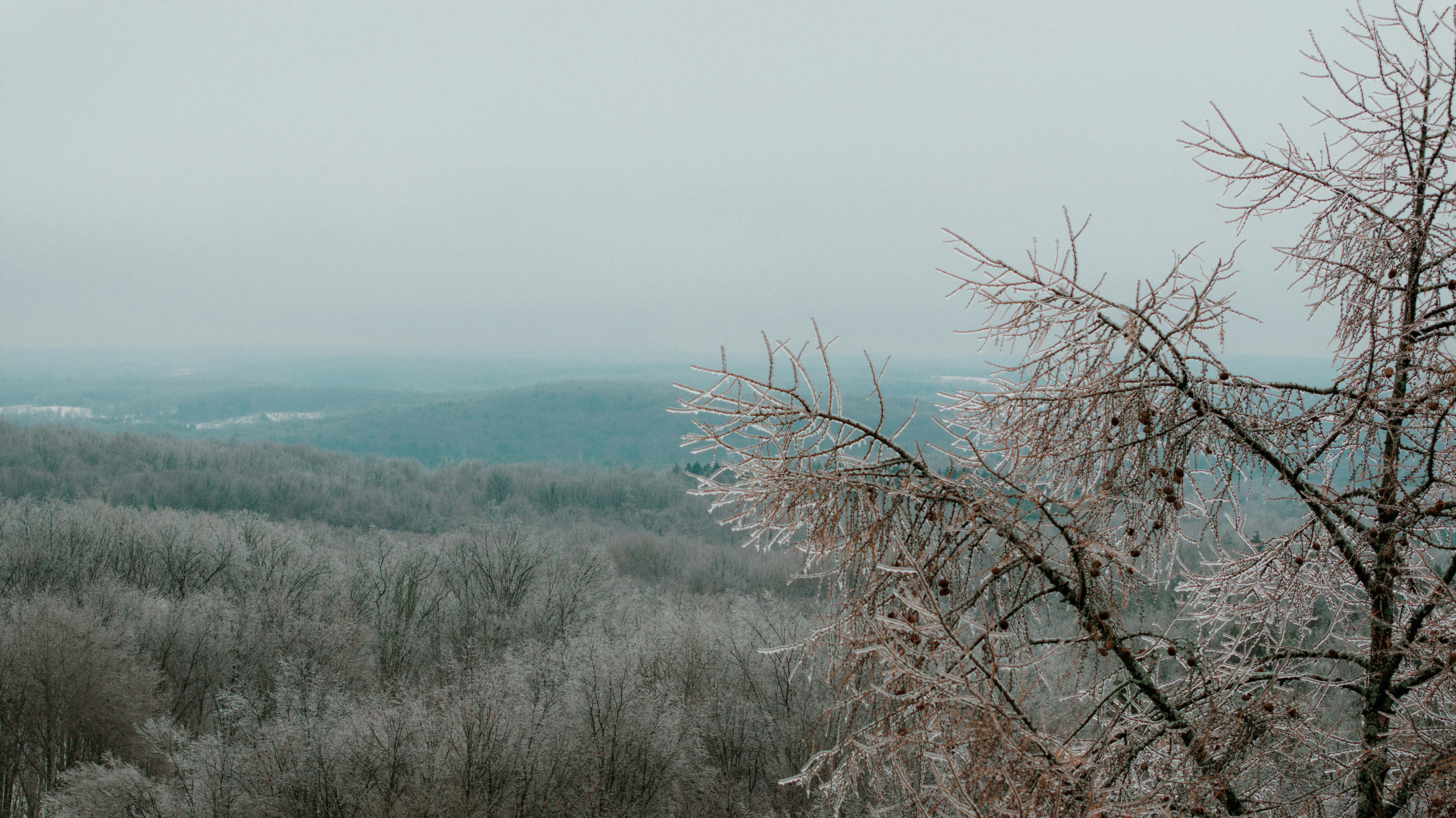 Photo by Donnie Rosie with DJI Mavic 3 Pro