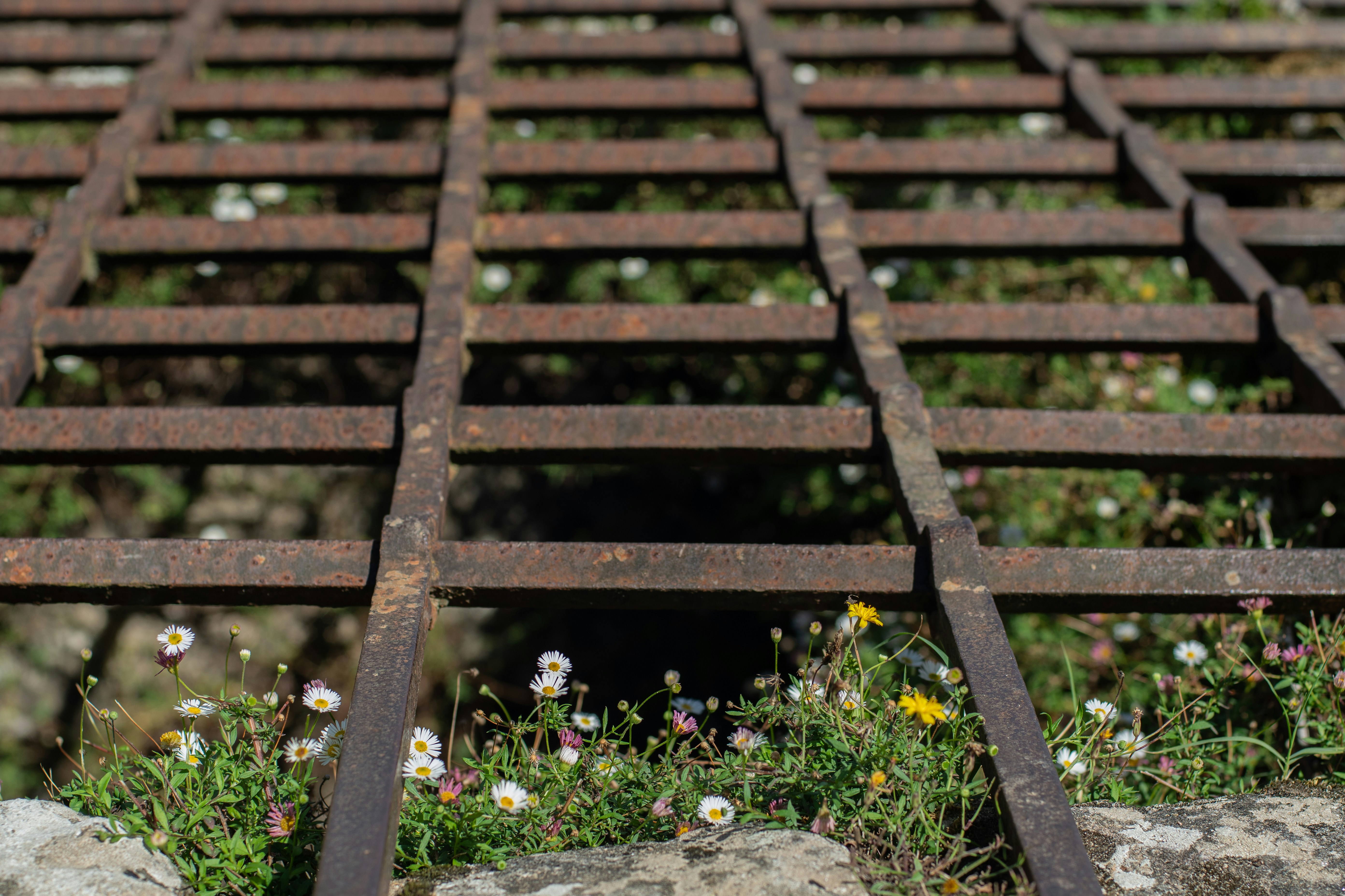 Photo by Natalia Gusakova with Nikon D500