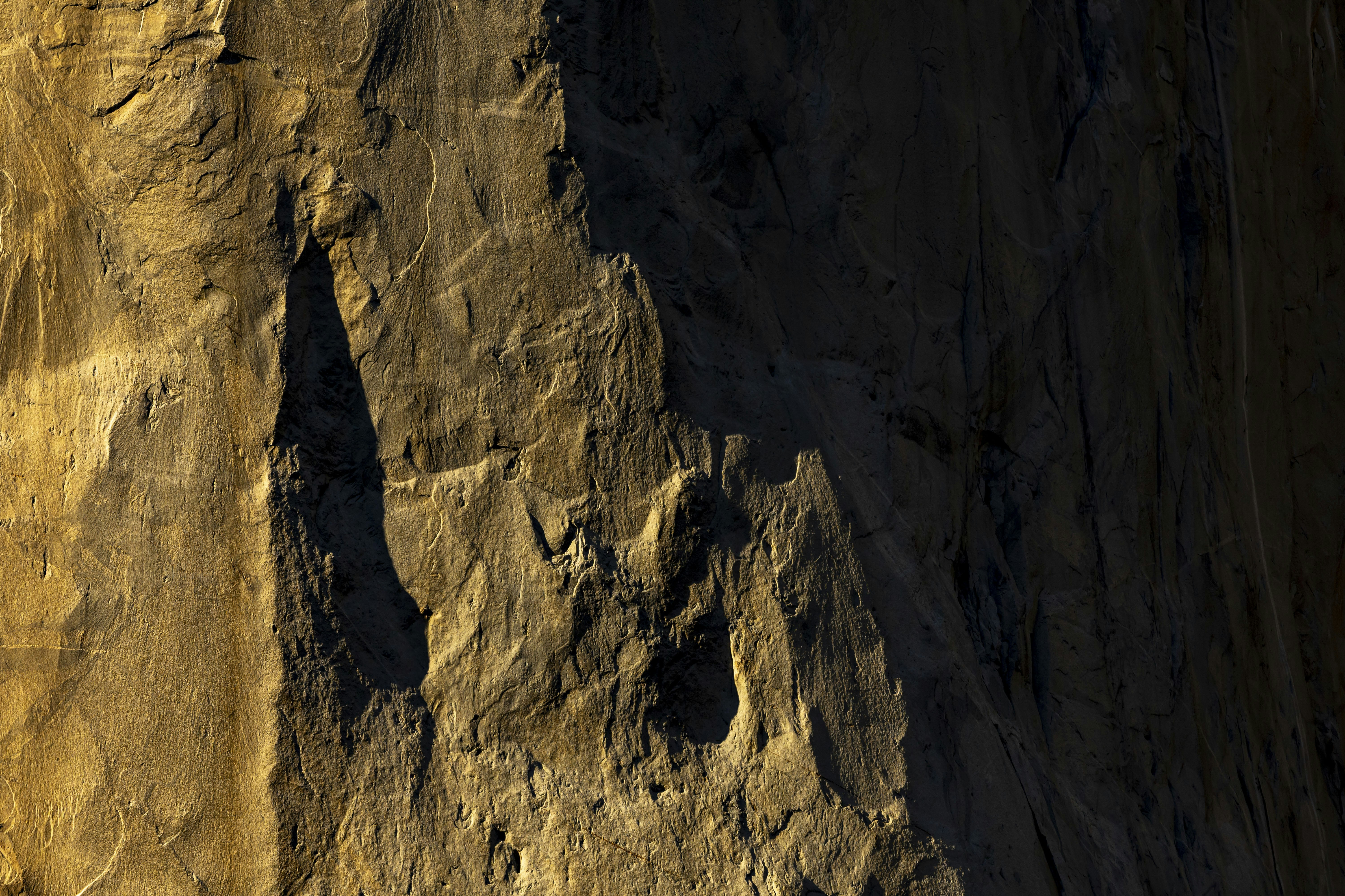 Photo by Leo_Visions with Canon EOS R3