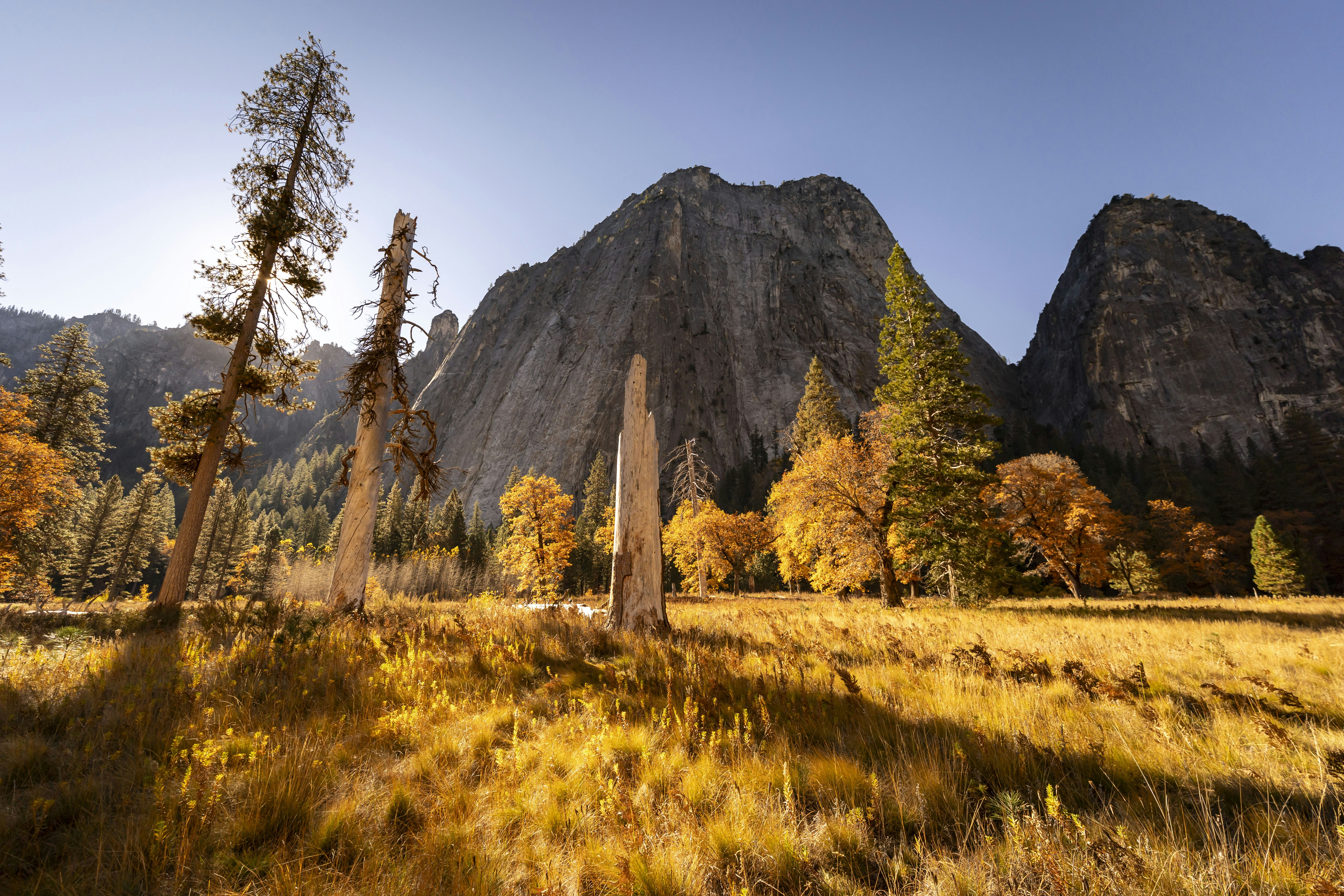 Golden autumn meadow with trees and mountains.