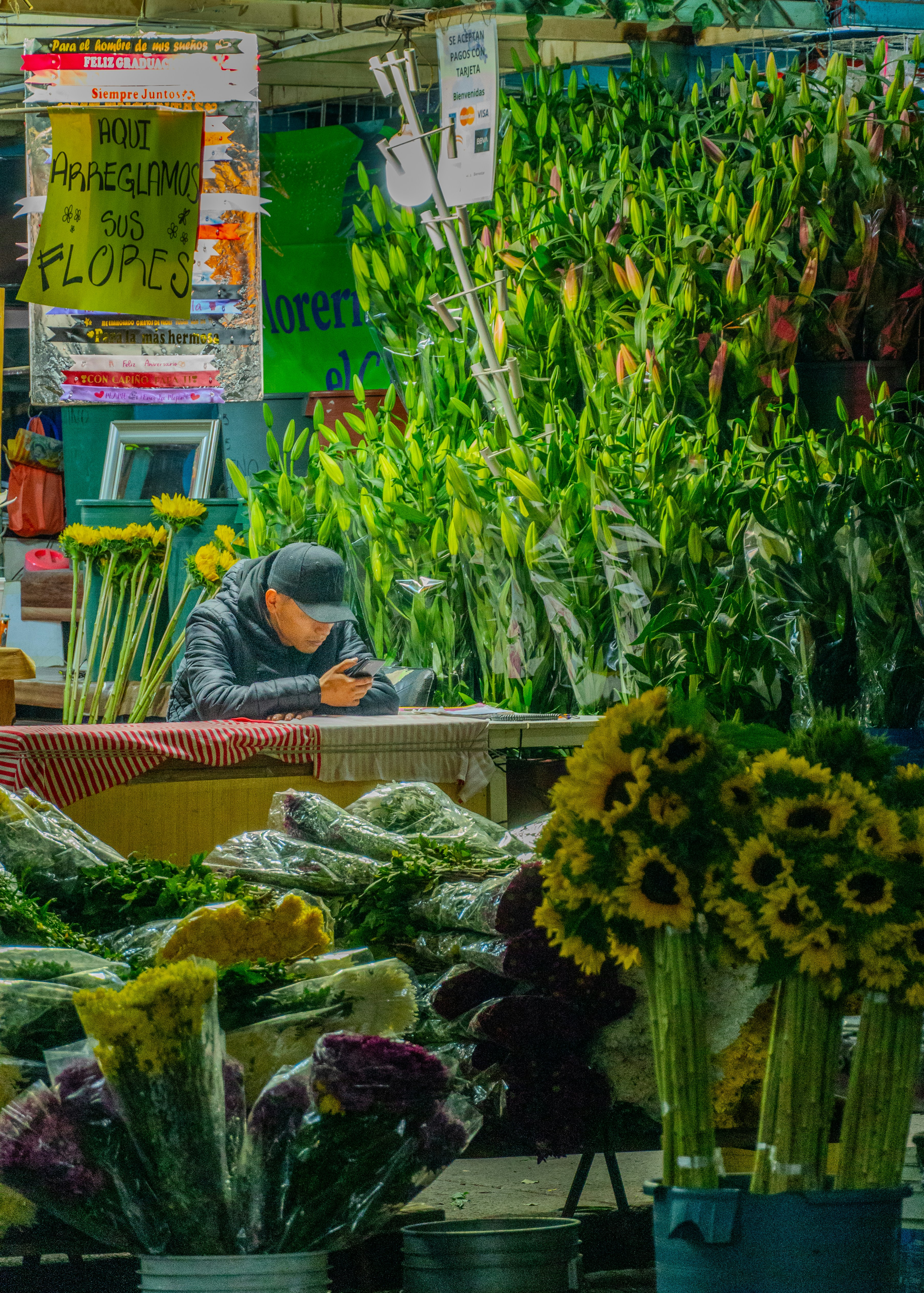 Market Floristry: A Quiet Moment Amid Colorful Boughs
