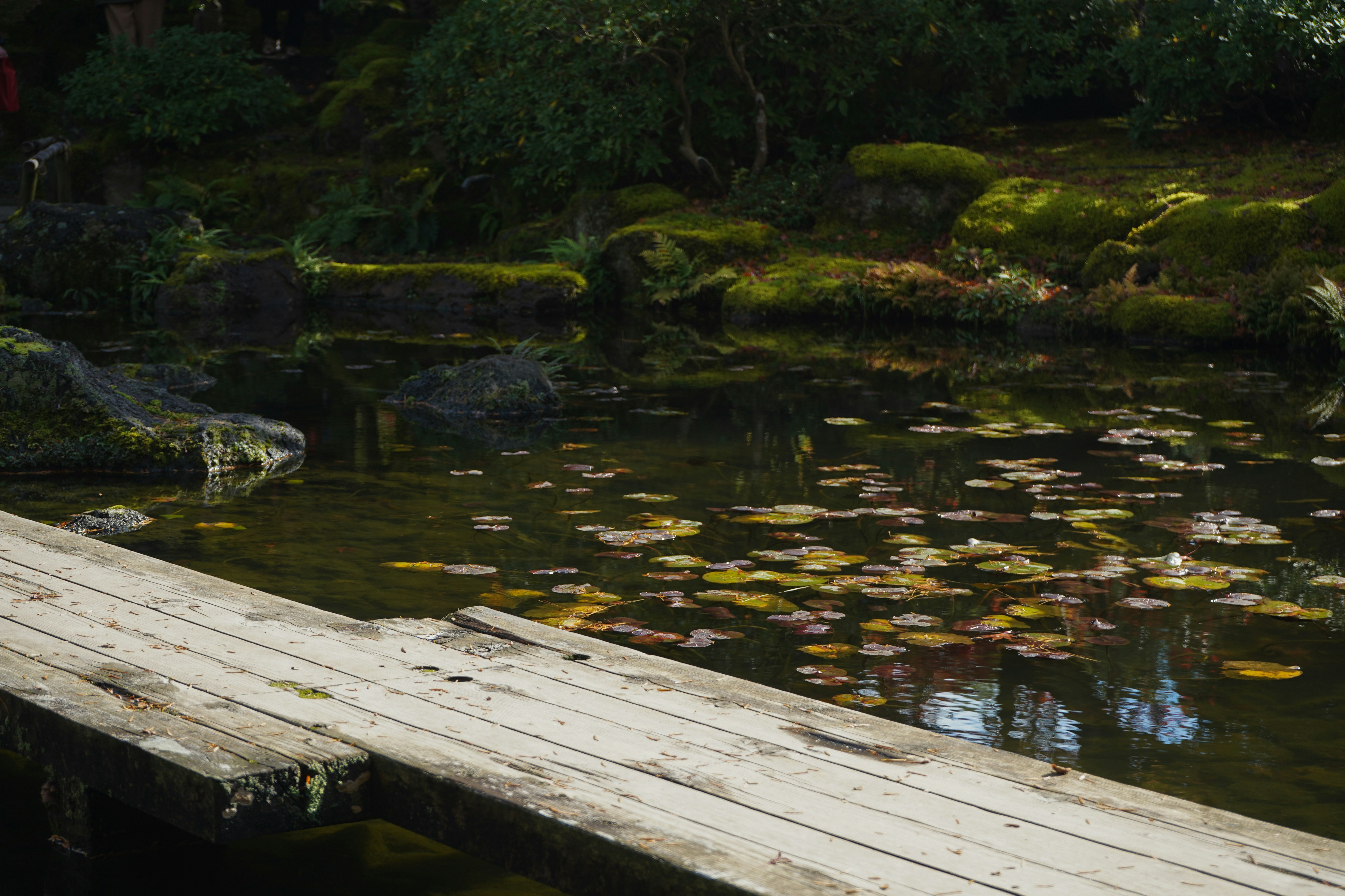 Moonlit Pond Walkway: Mossy Veranda Over Quiet Water