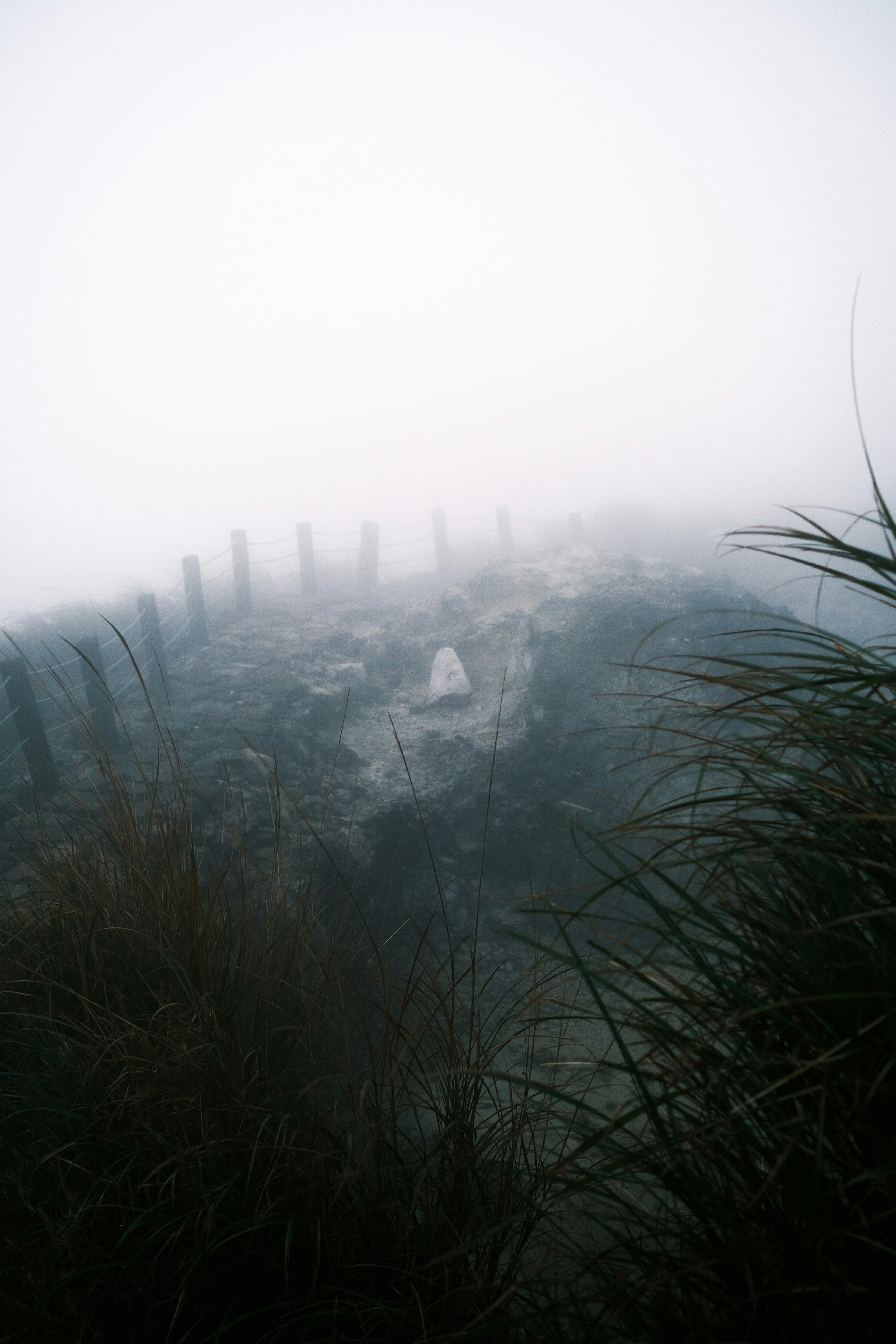 Fogbound Fence: A Quiet Boundary Between Shore and Sky