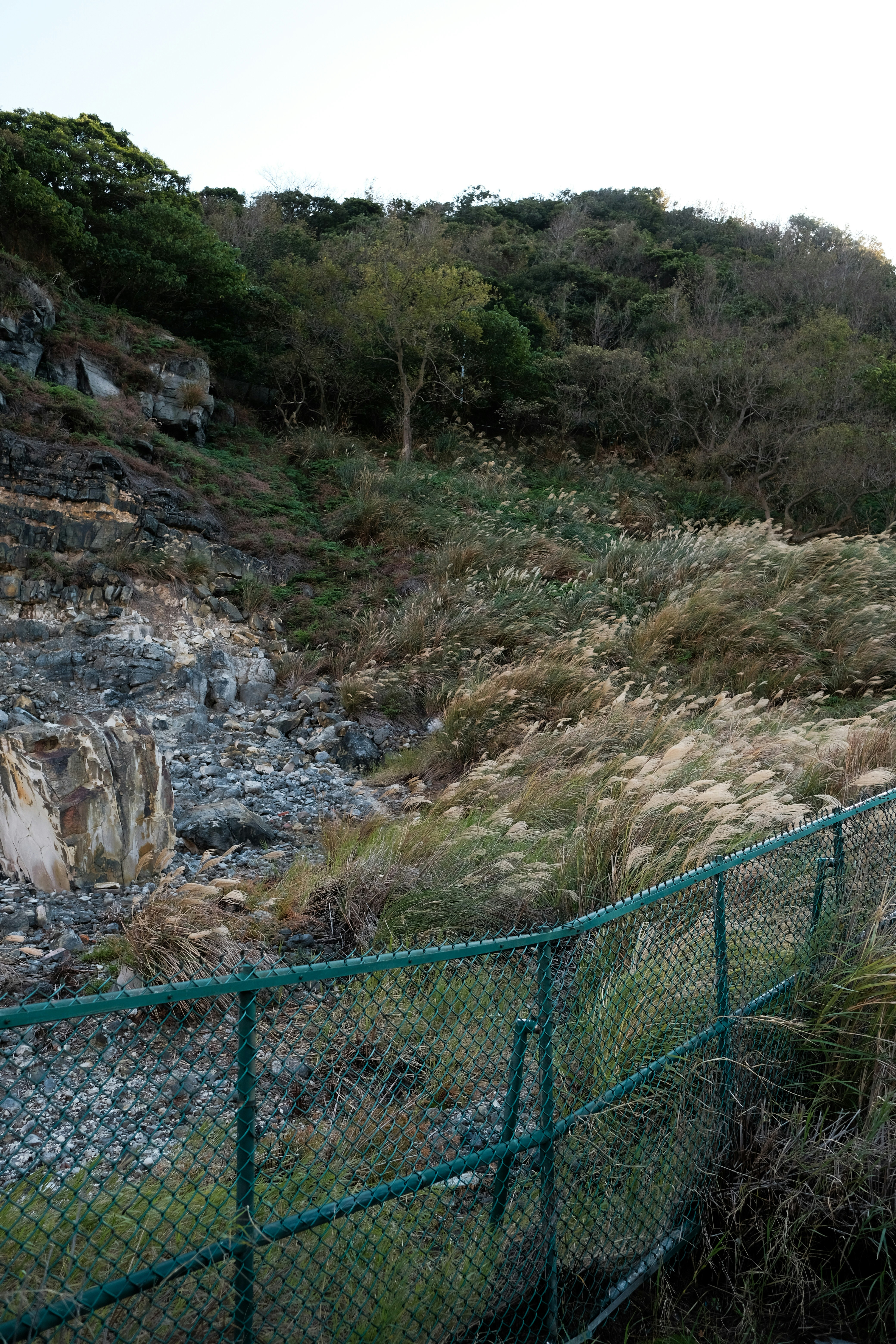 Rugged cliffside and windswept grasses behind a teal chain-link barrier