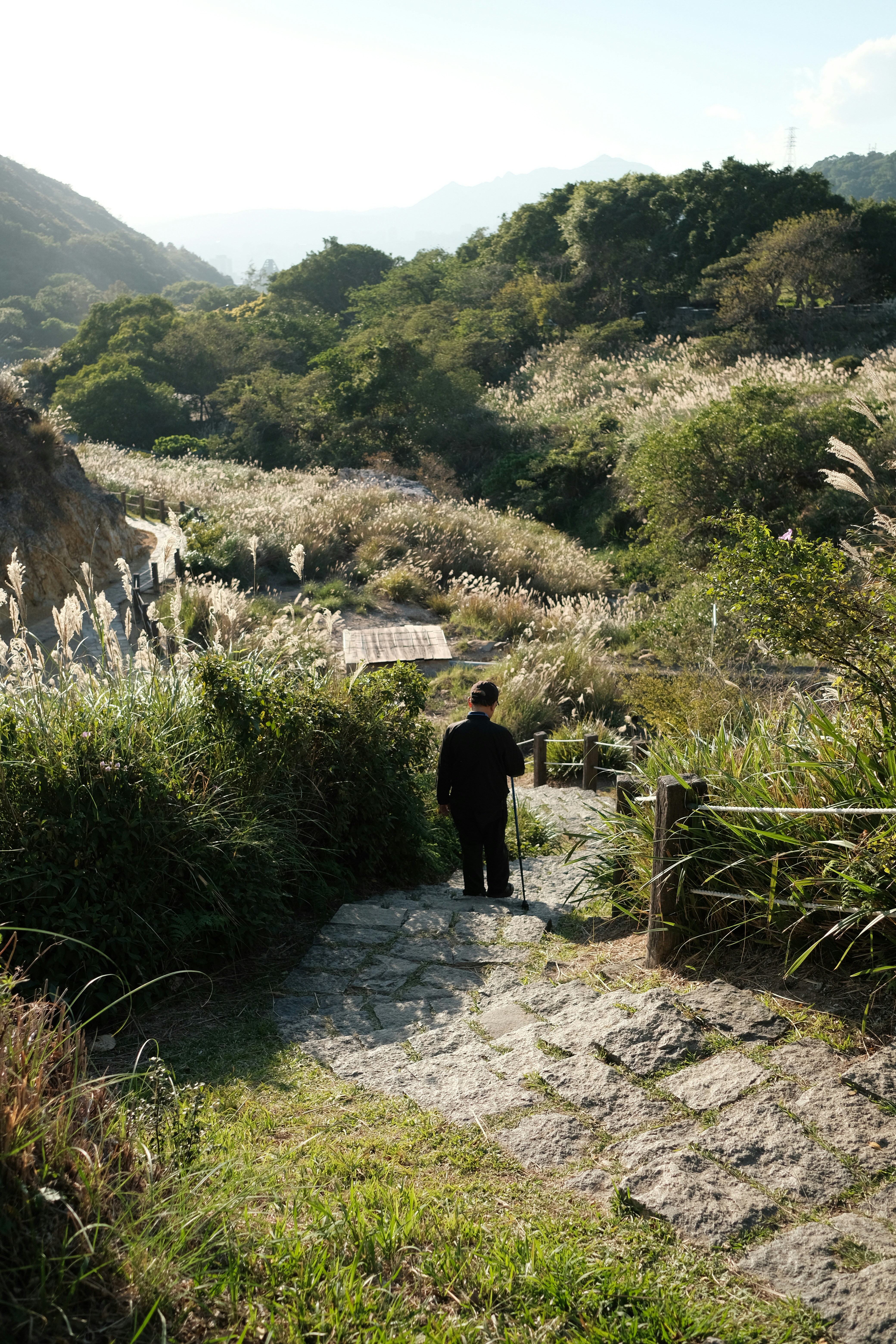 Path to Quiet Summit: A Lone Hiker Among Golden Grasses