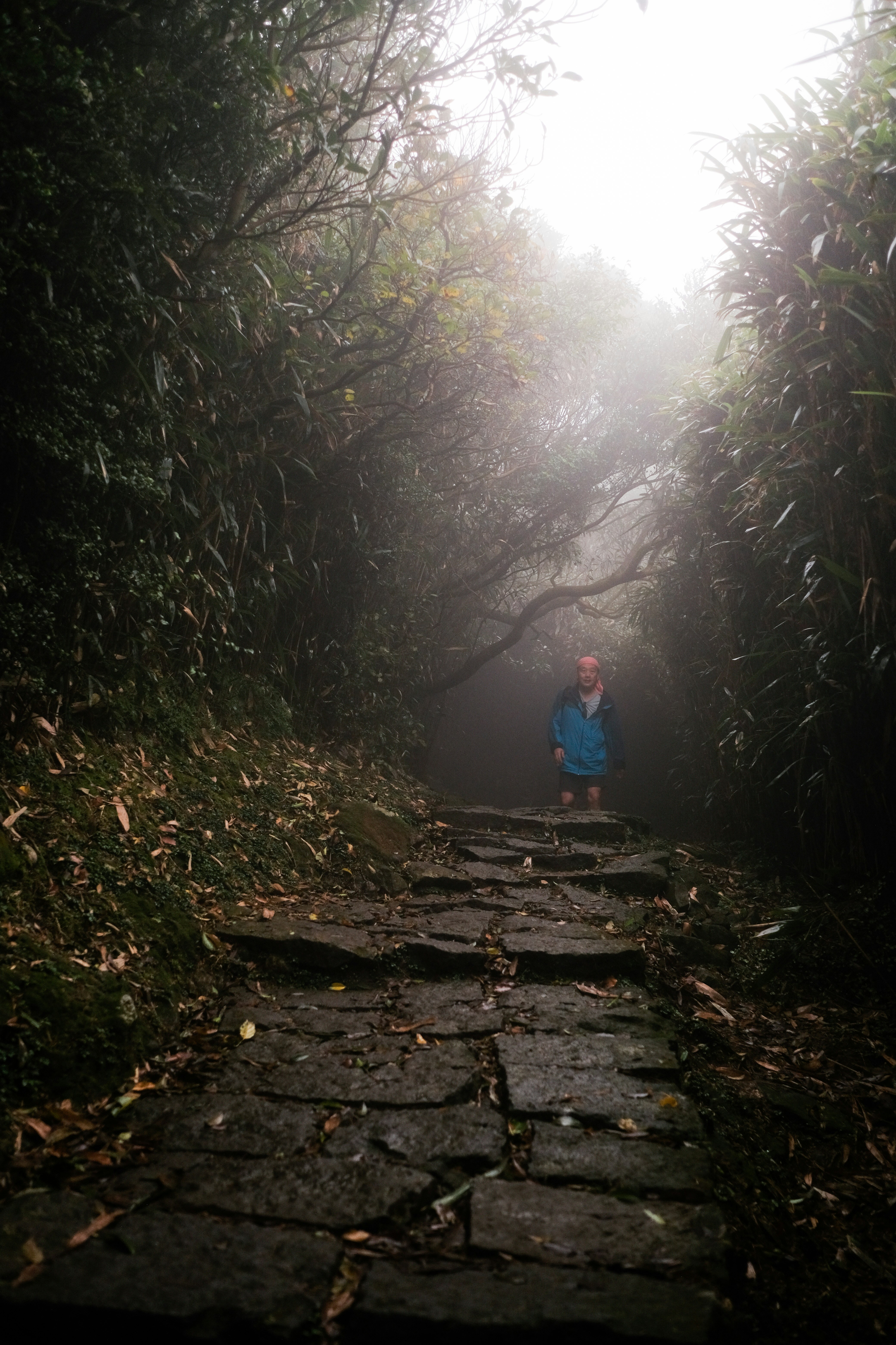 Mist-Clad Ascent: A lone hiker on foggy stone stairs